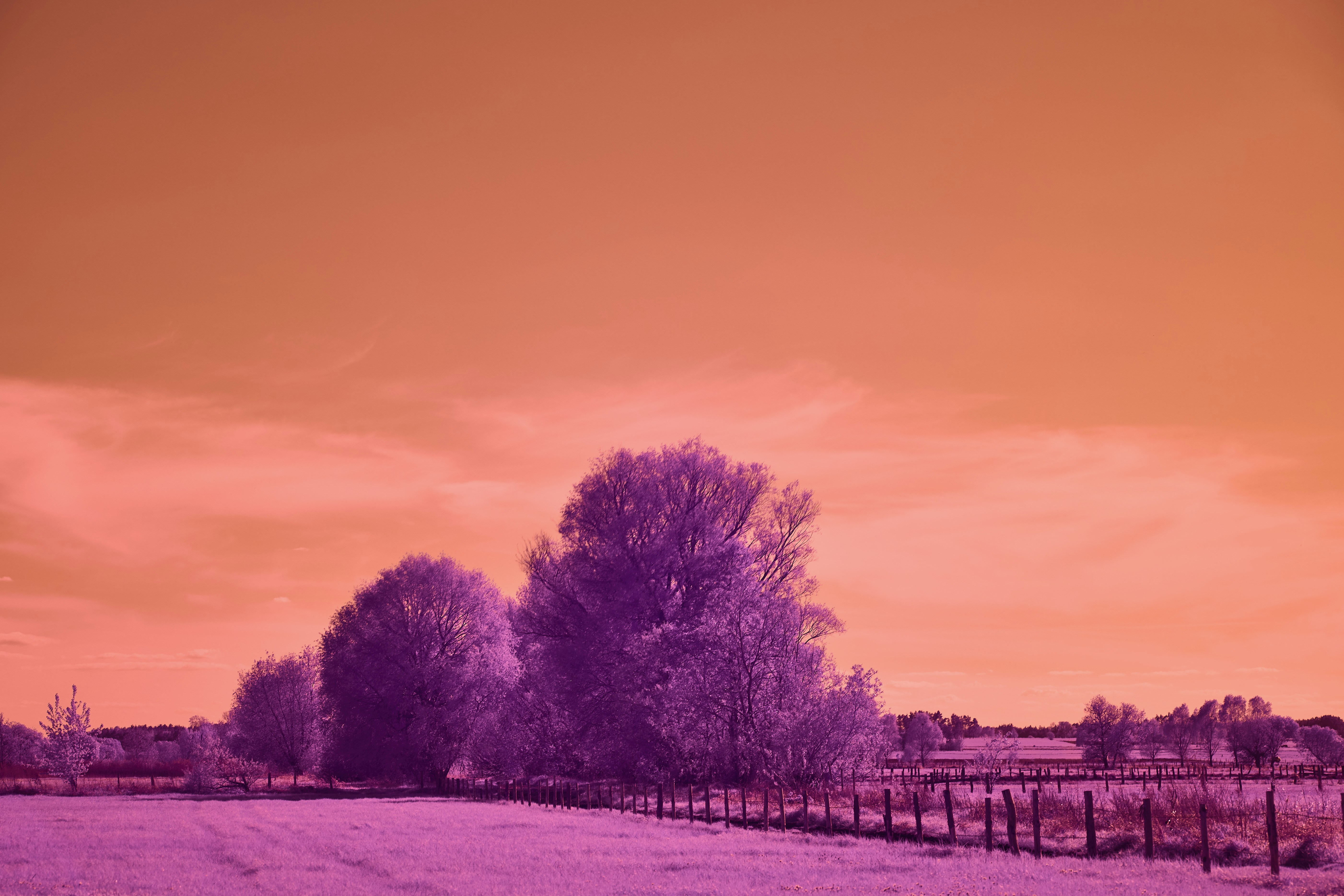 Photo by Wolfgang Hasselmann with Sony Alpha 7 IV