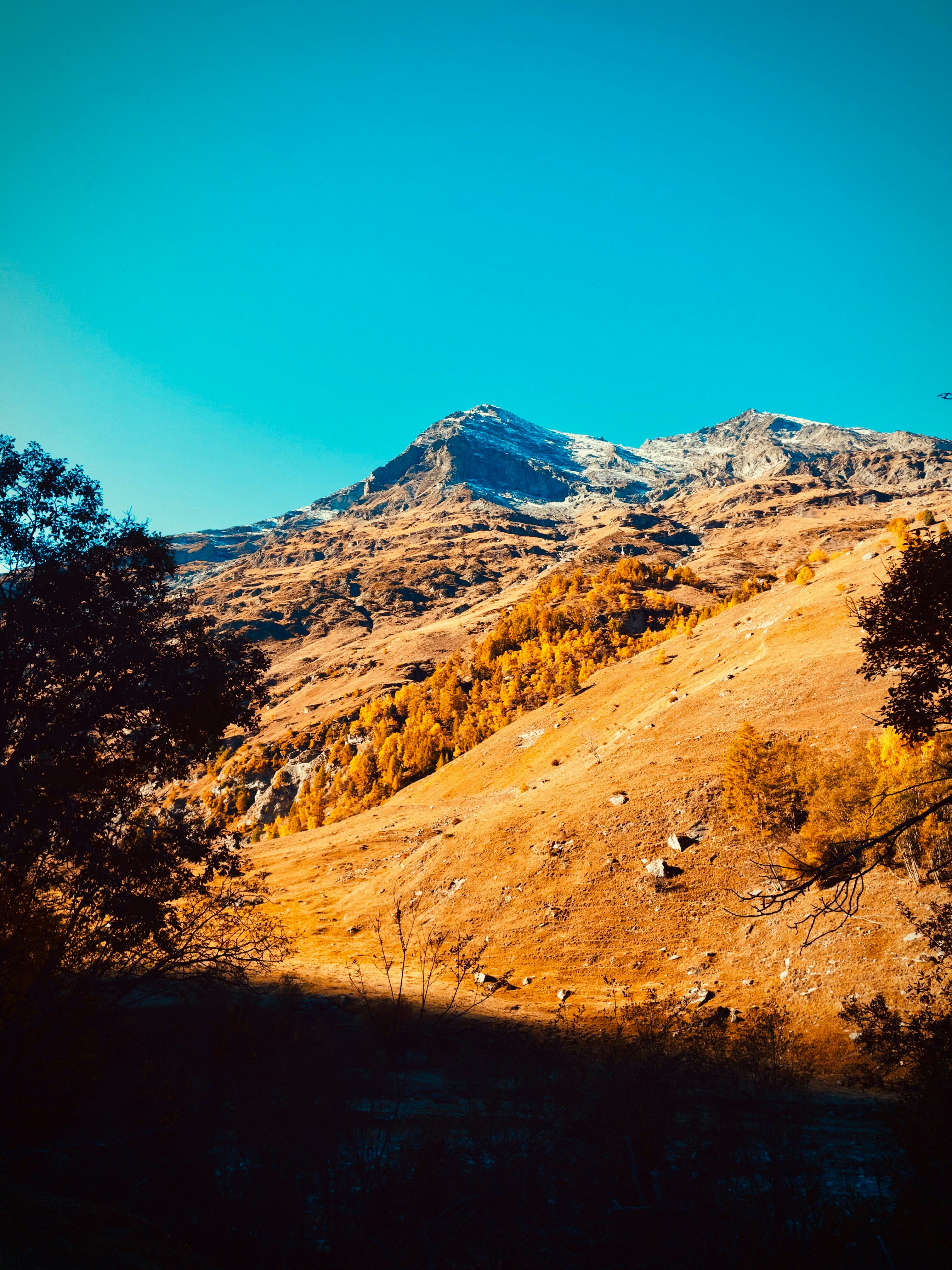 Photo by Yuteng Jiang with Apple iPhone 12