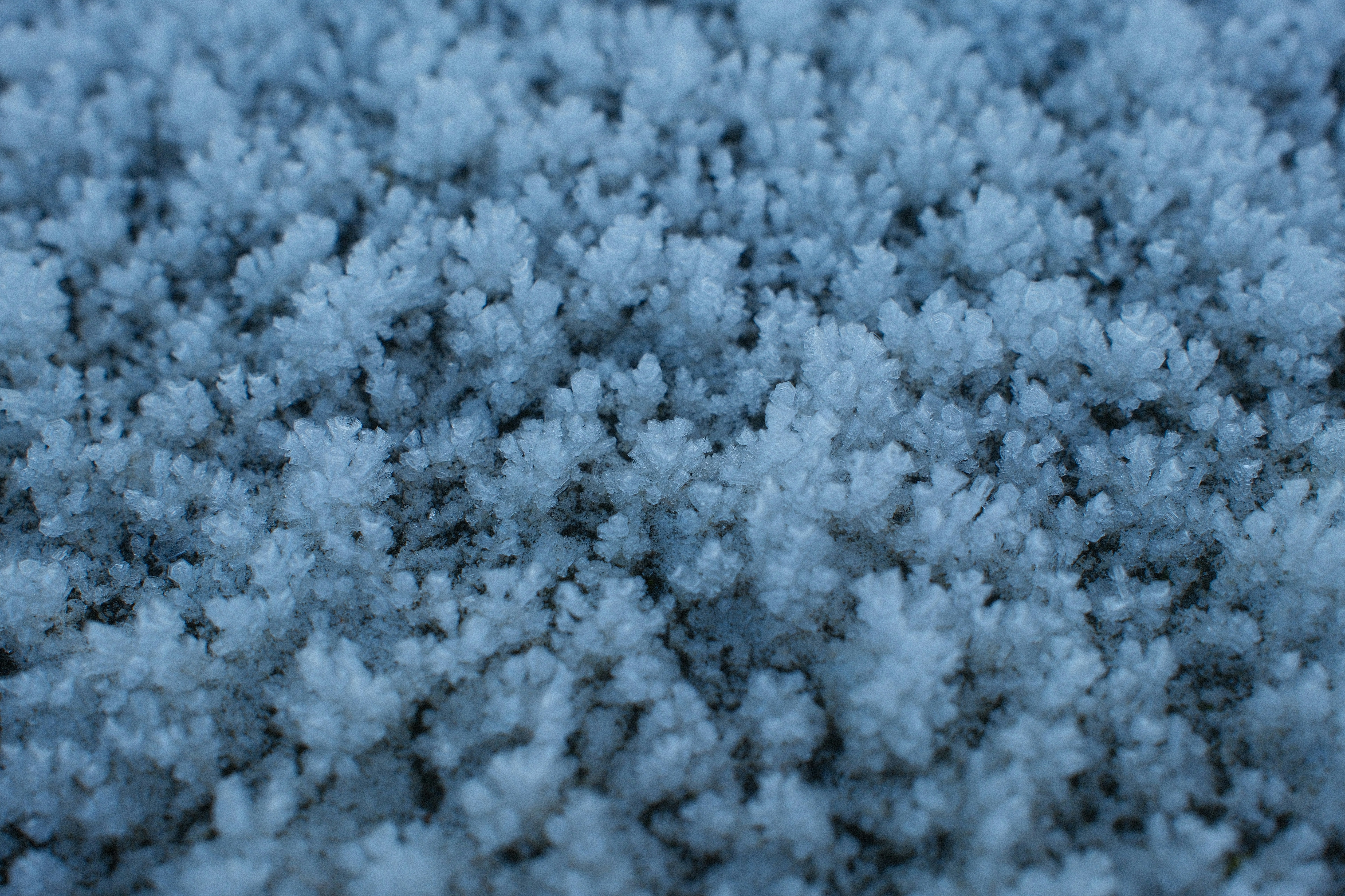 Frosted Field of Whorled Crystals