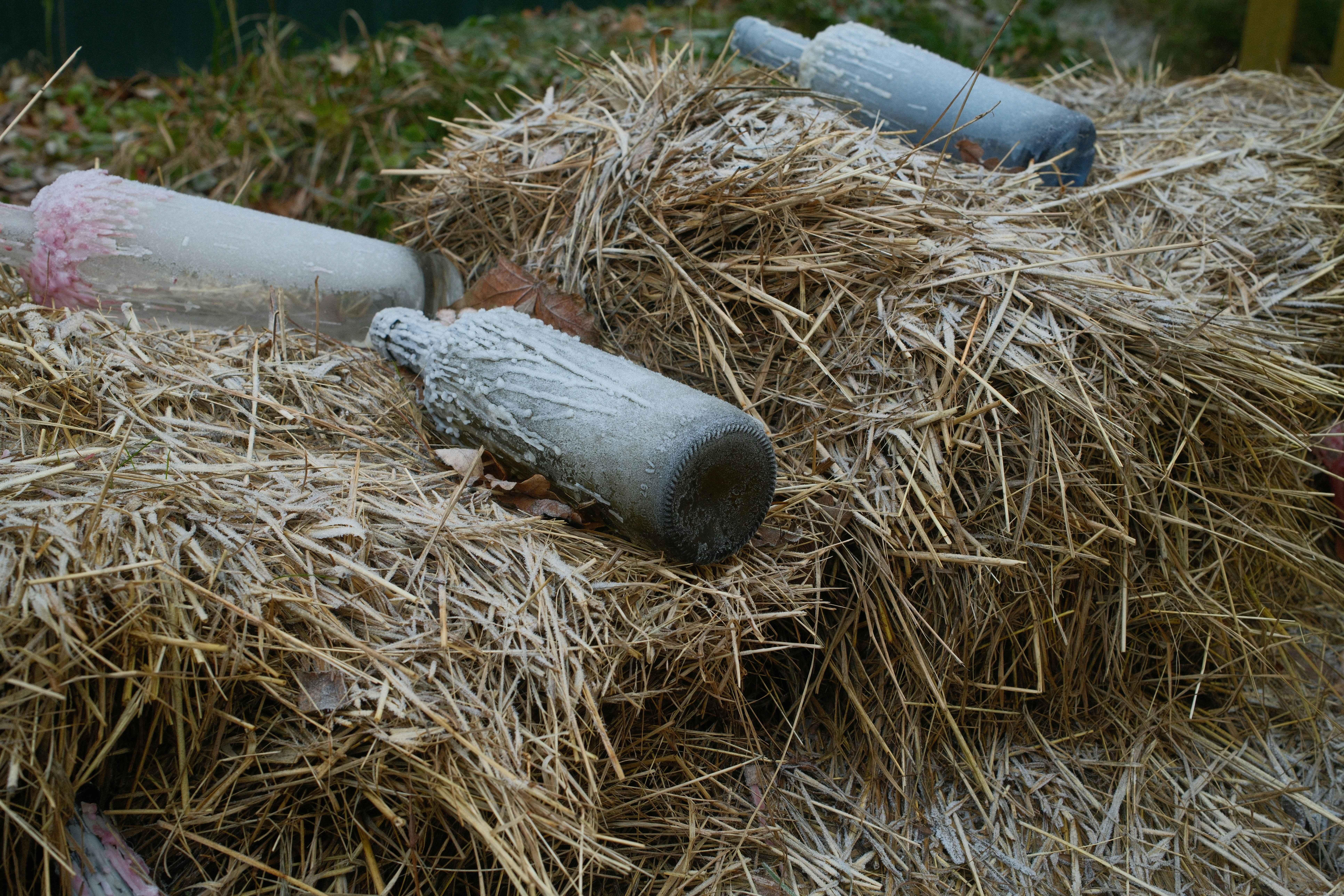 Bottle Snags on Straw: A Quiet Moment Among Farm Debris