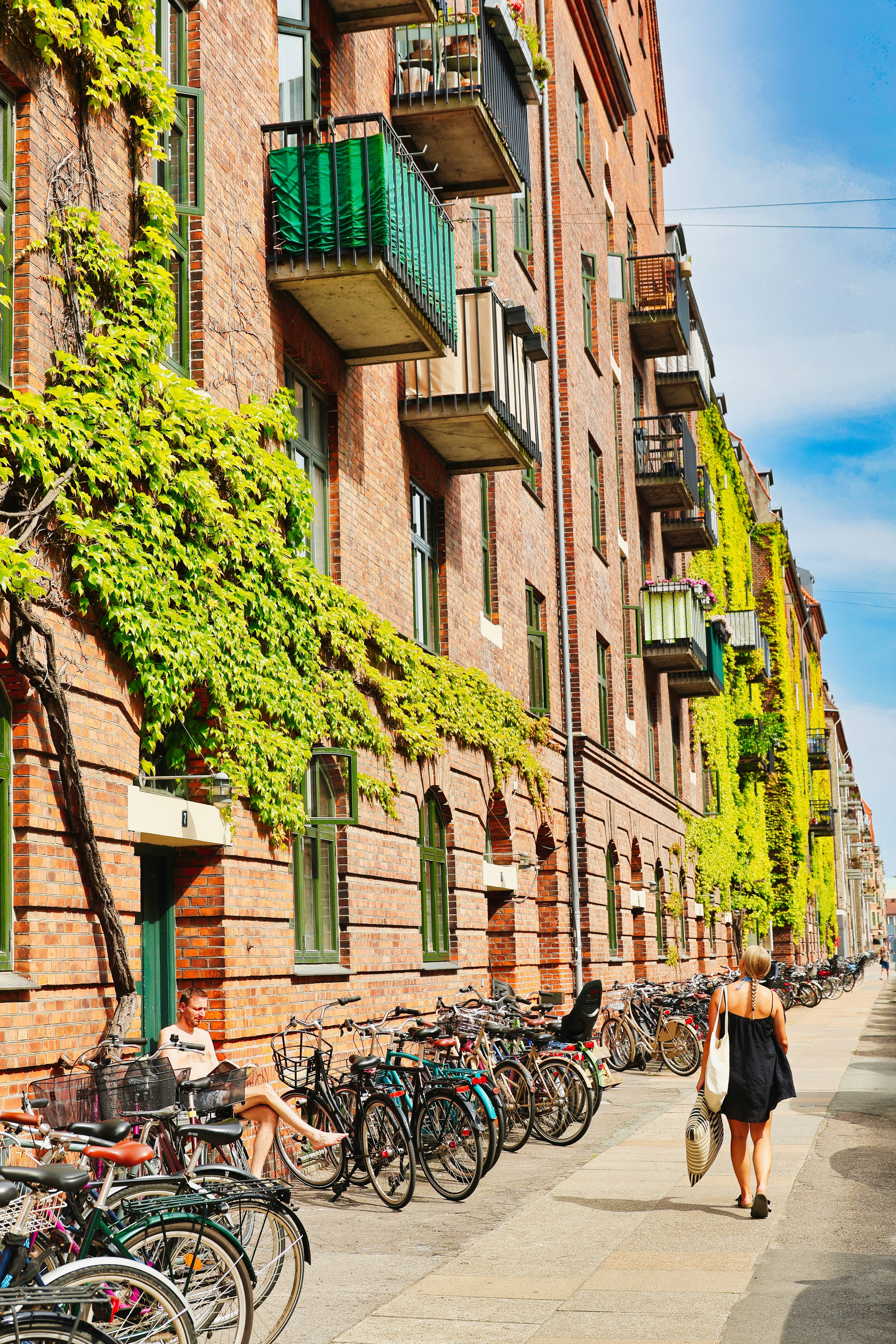 Sunlit urban corridor: bicycles, vines, and a lone passerby