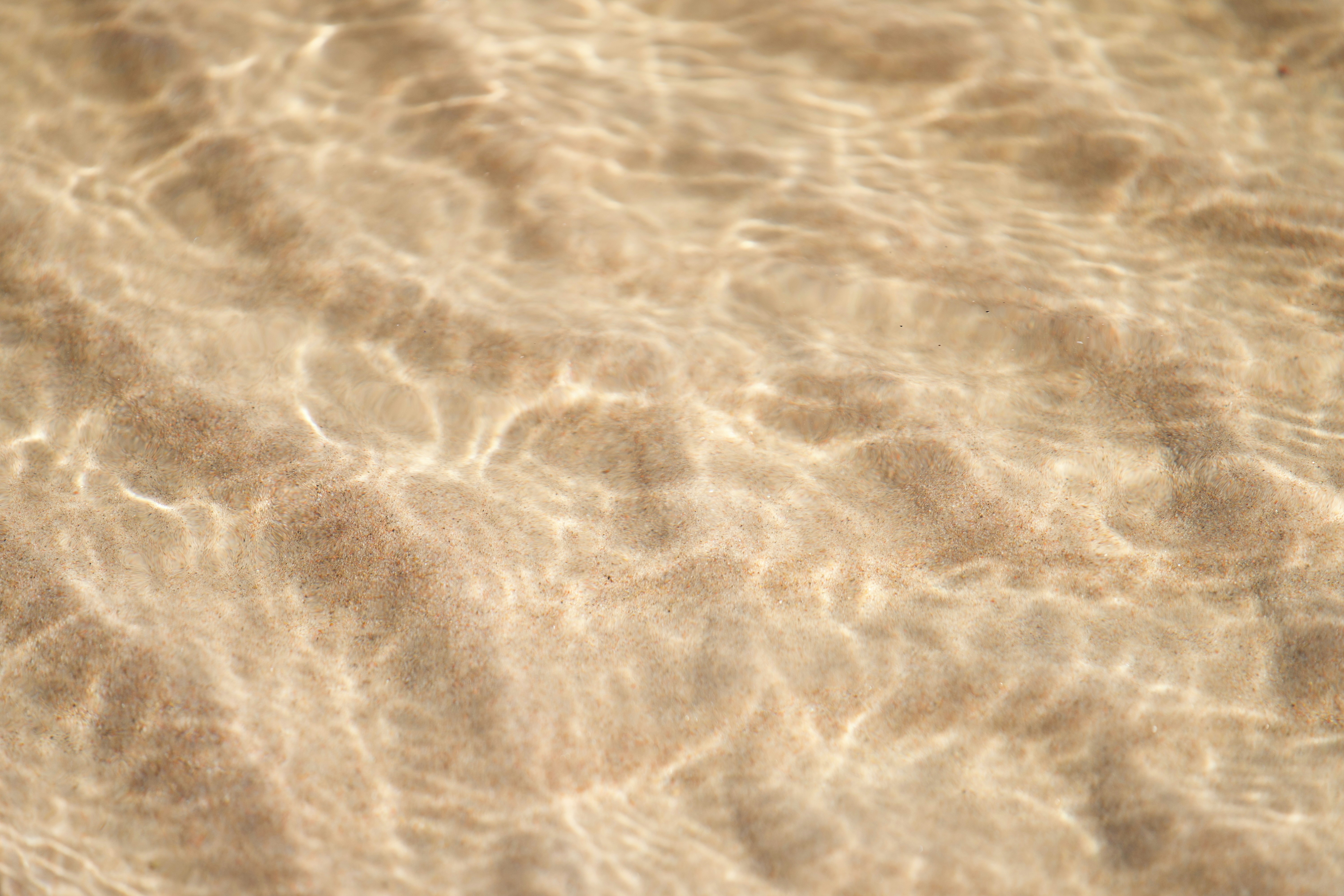 Photo by Ann V with Sony Alpha 7 III