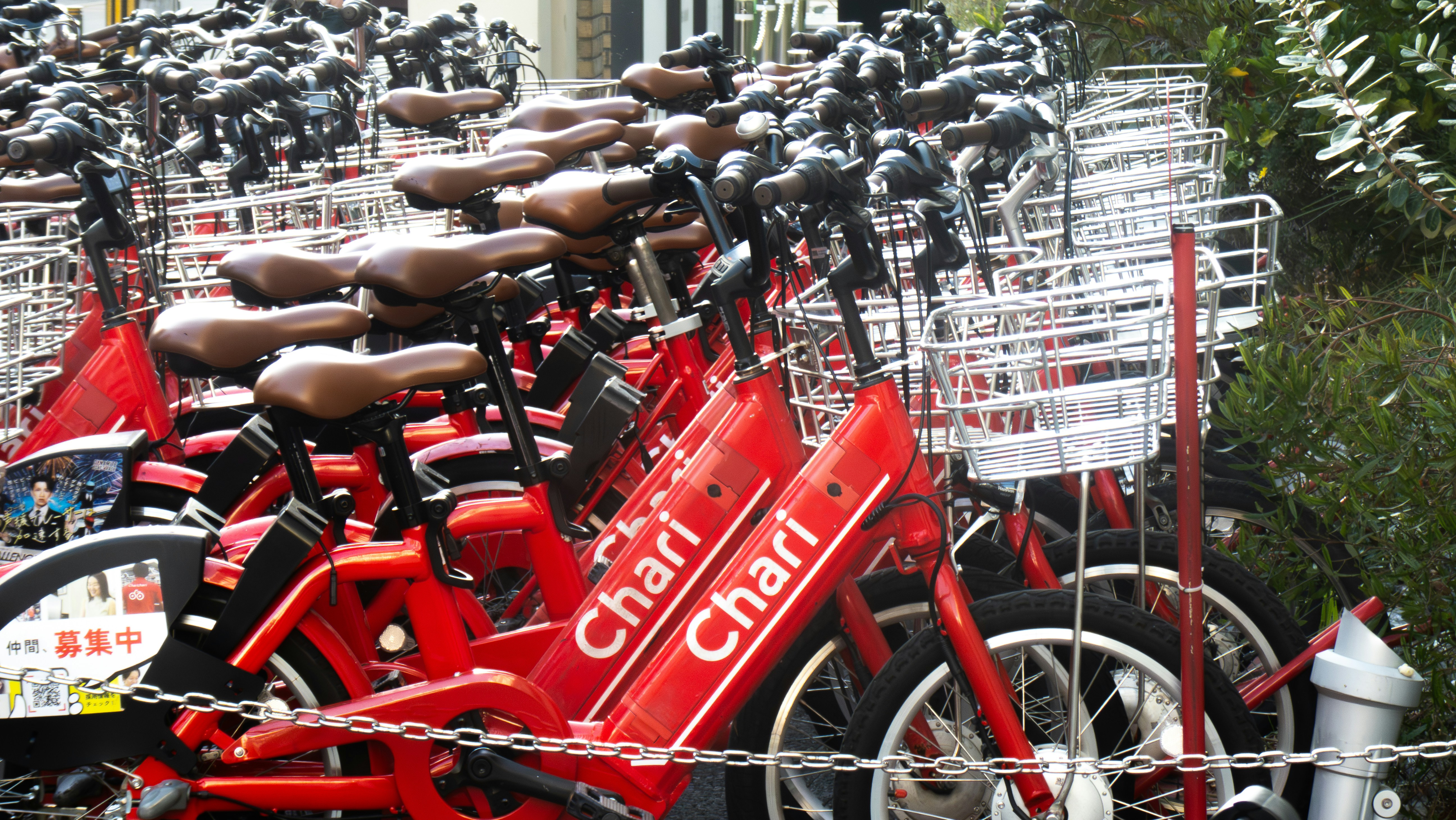 Rows of red rental bicycles parked together