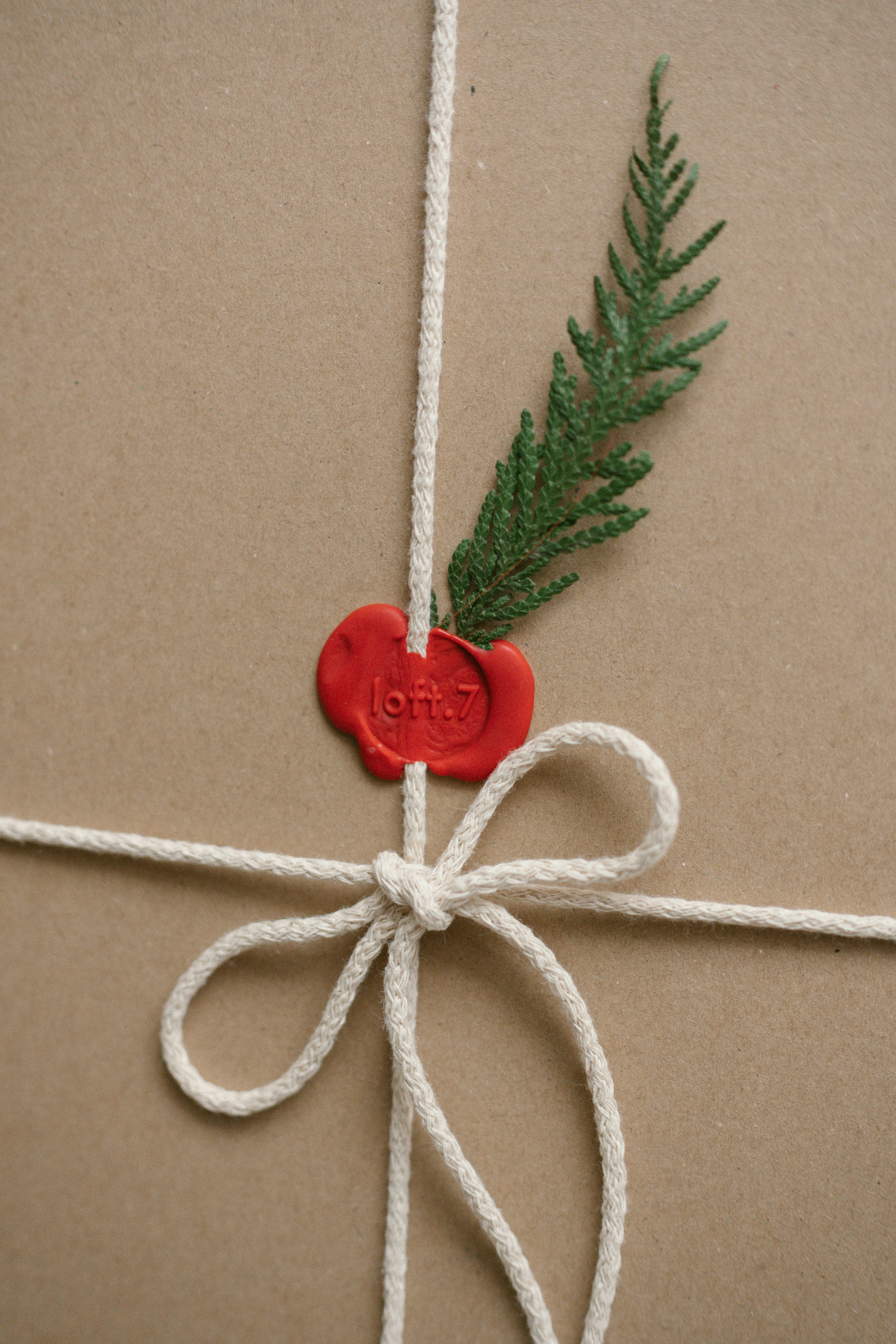 Photo by Raymond Petrik with Sony Sony ZV-E10 II