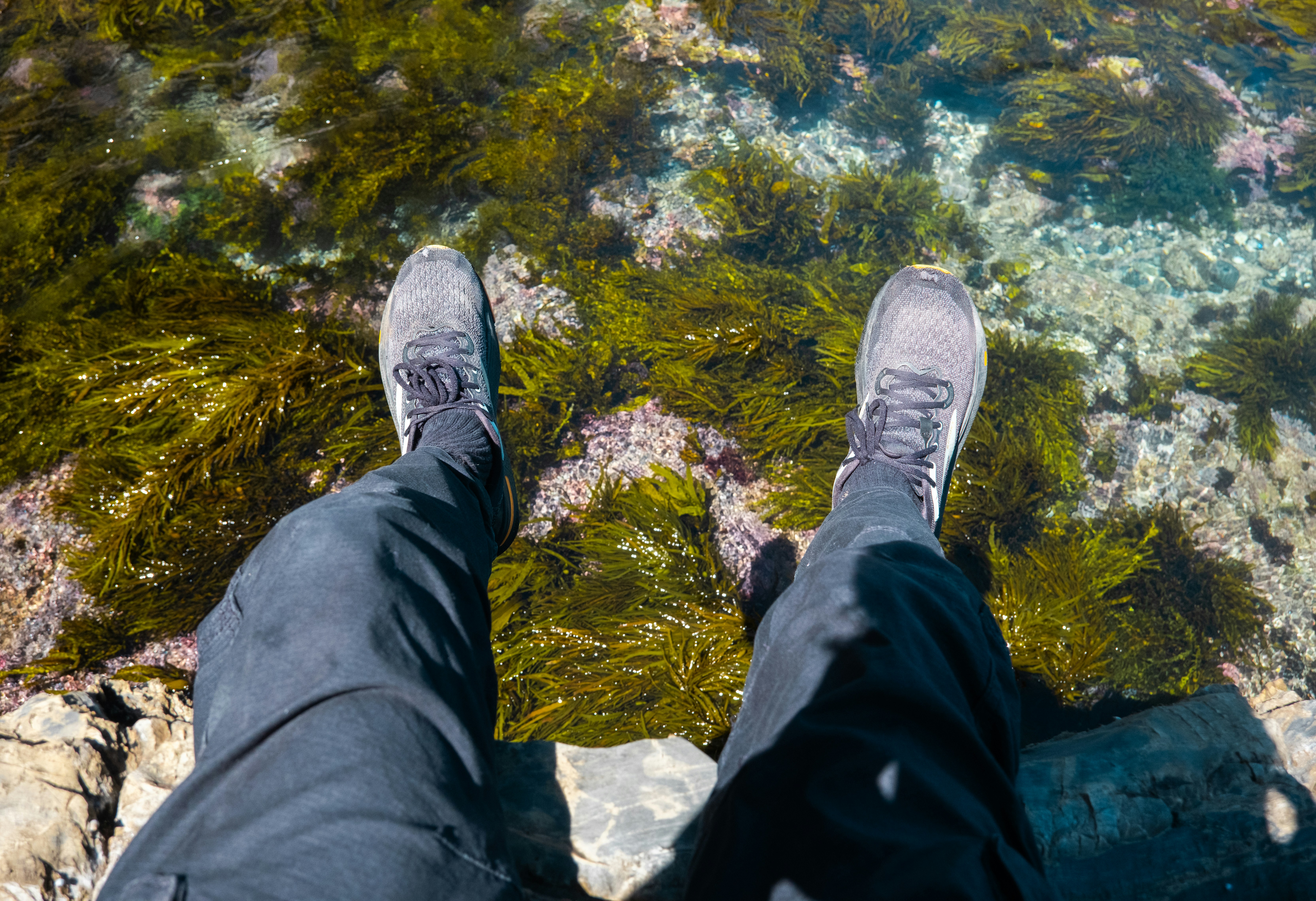 Feet Over Clear Tide: A Walk Above Turquoise Reefs