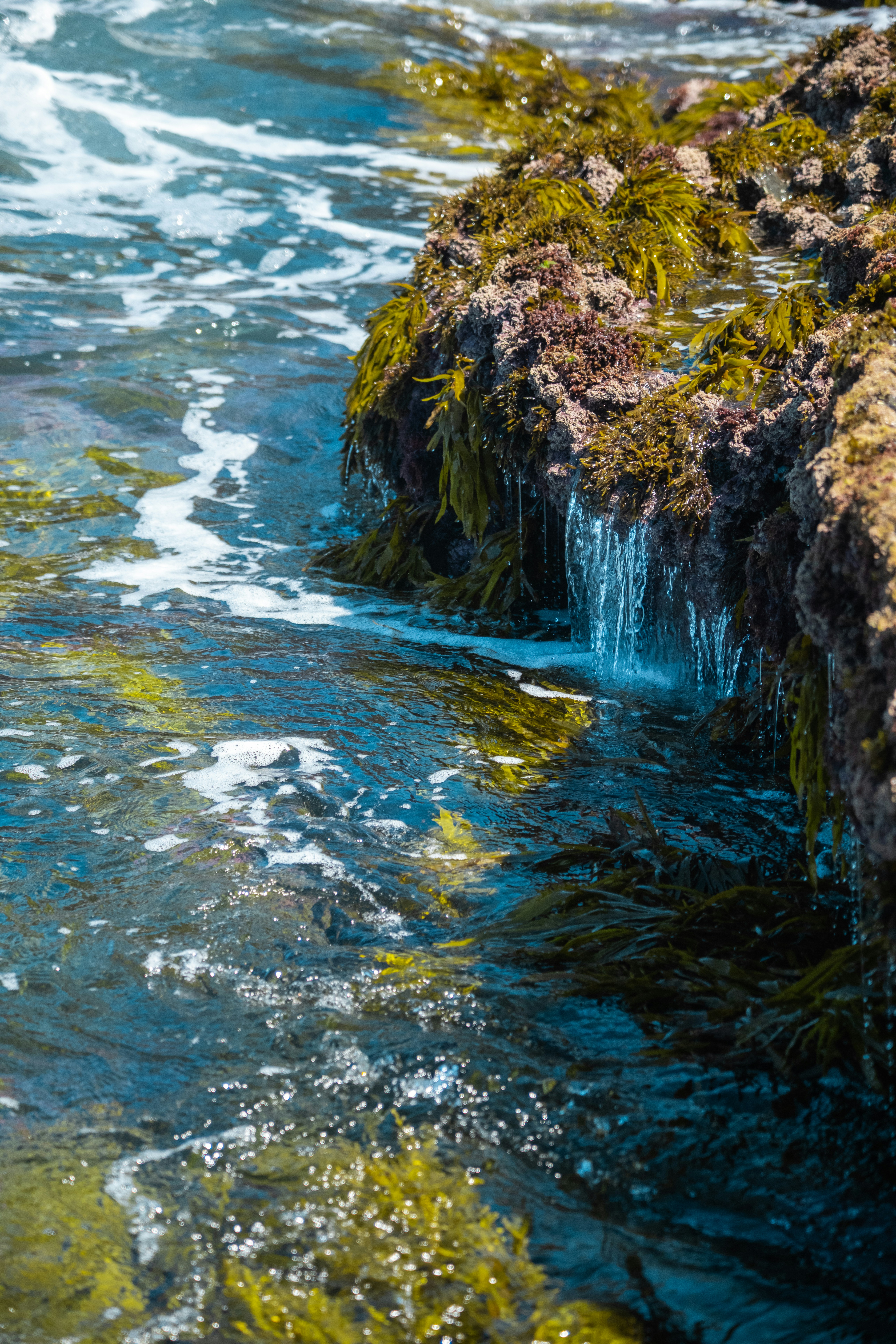 Photo by me aph with Fujifilm X-H2