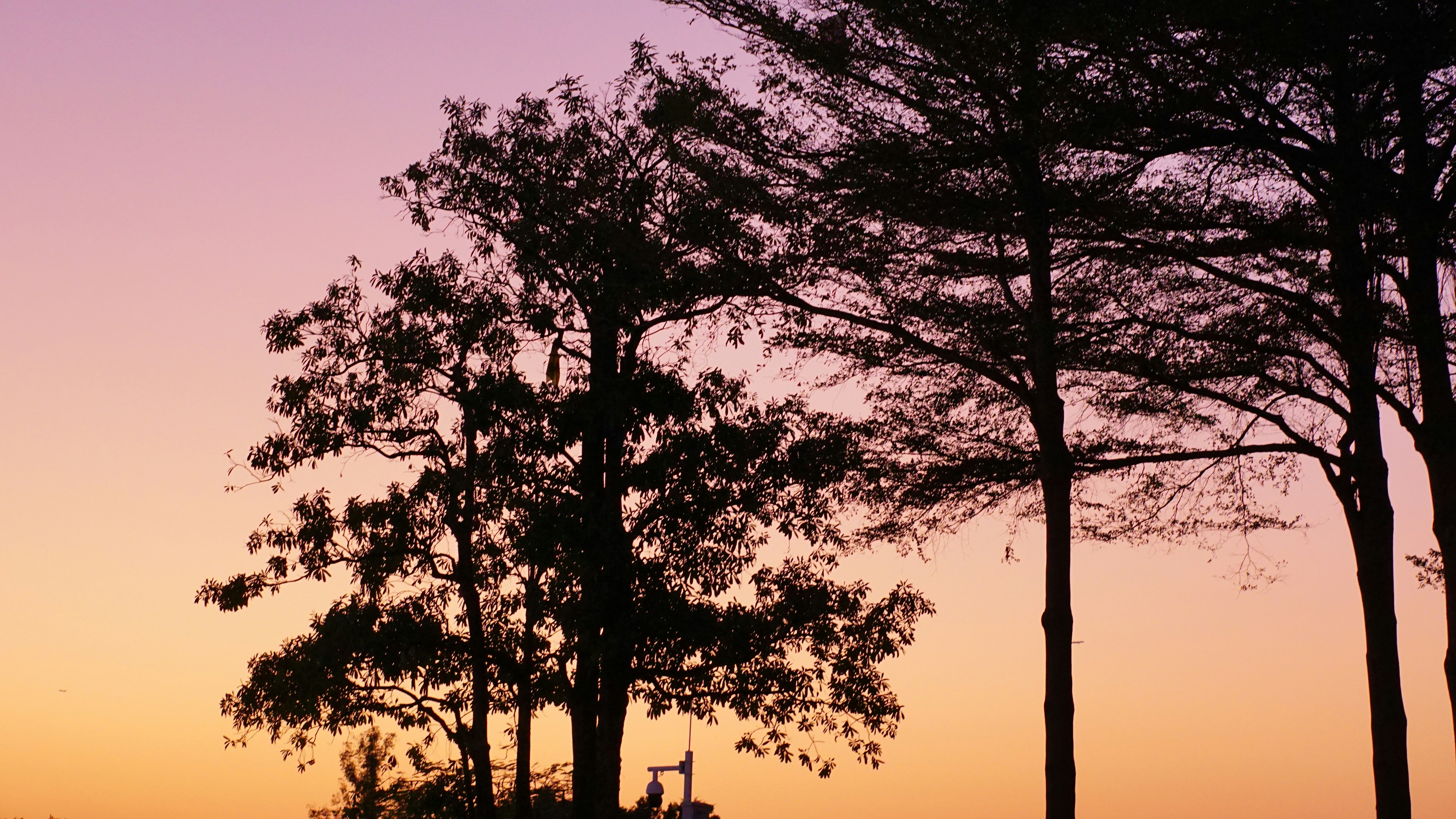 Photo by Zanxinz Z with Sony Alpha 6000