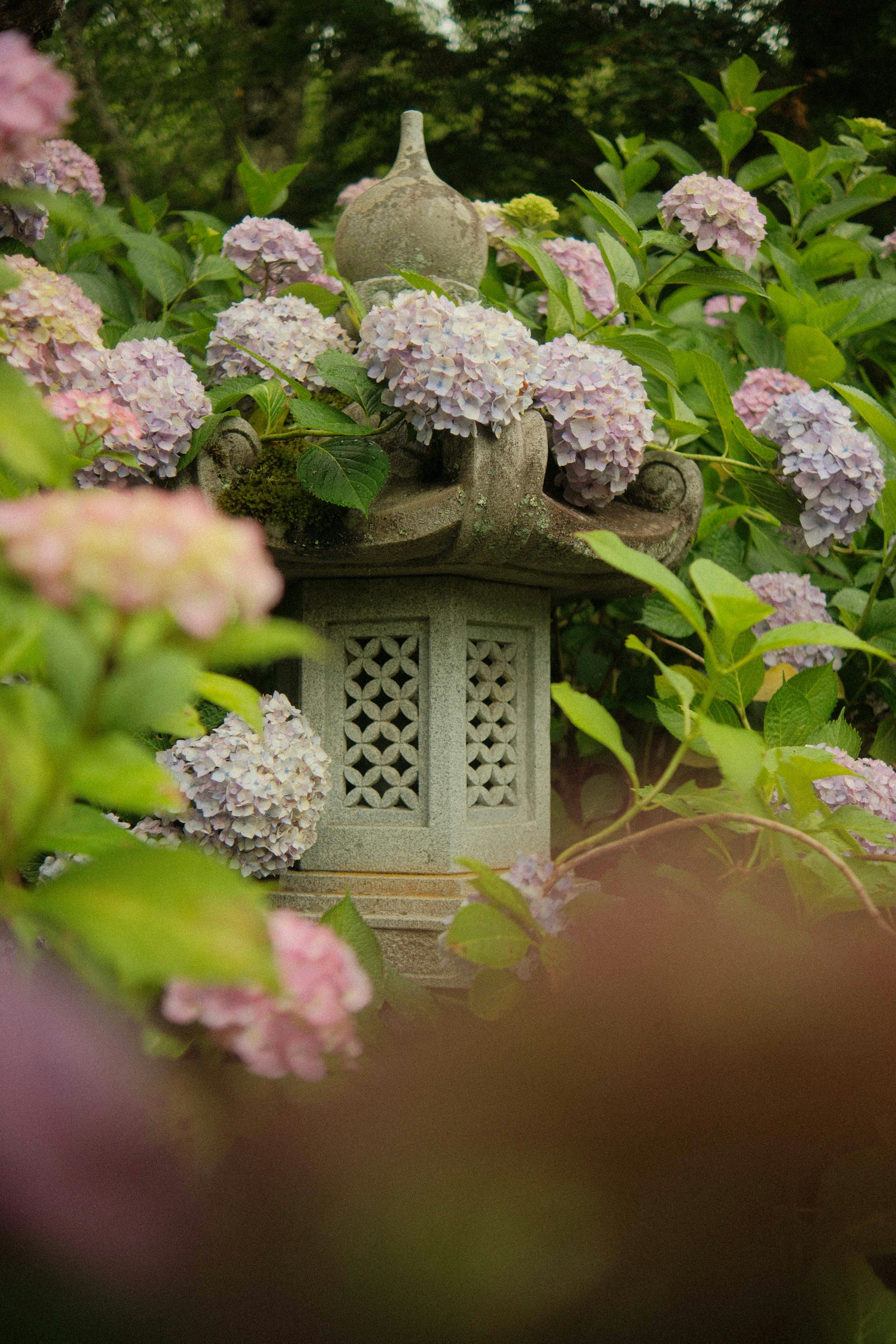 Photo by Joschka Silzle with Fujifilm X-T50