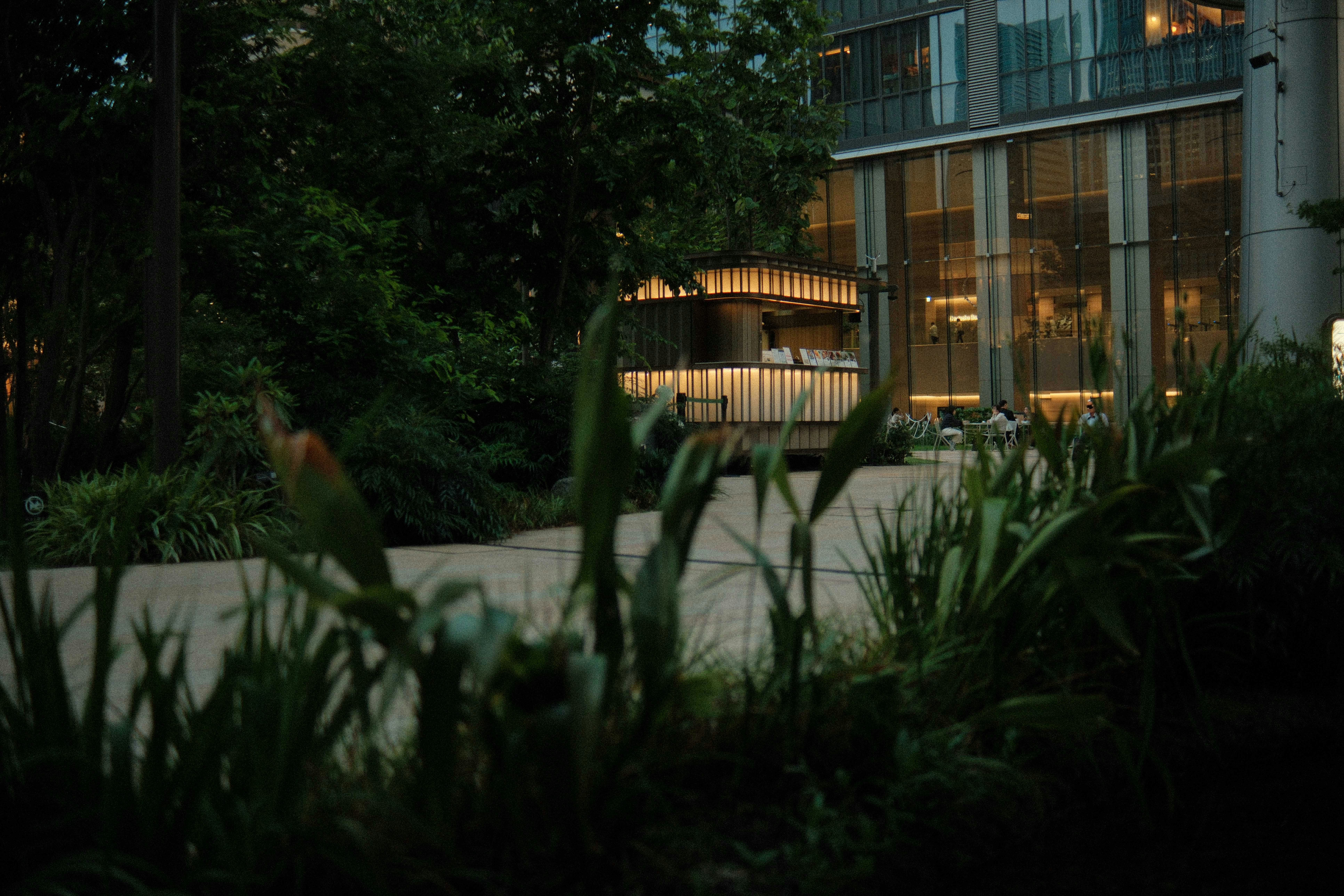 Urban Garden at Dusk: Quiet Light Framing a Glass-Walled Building