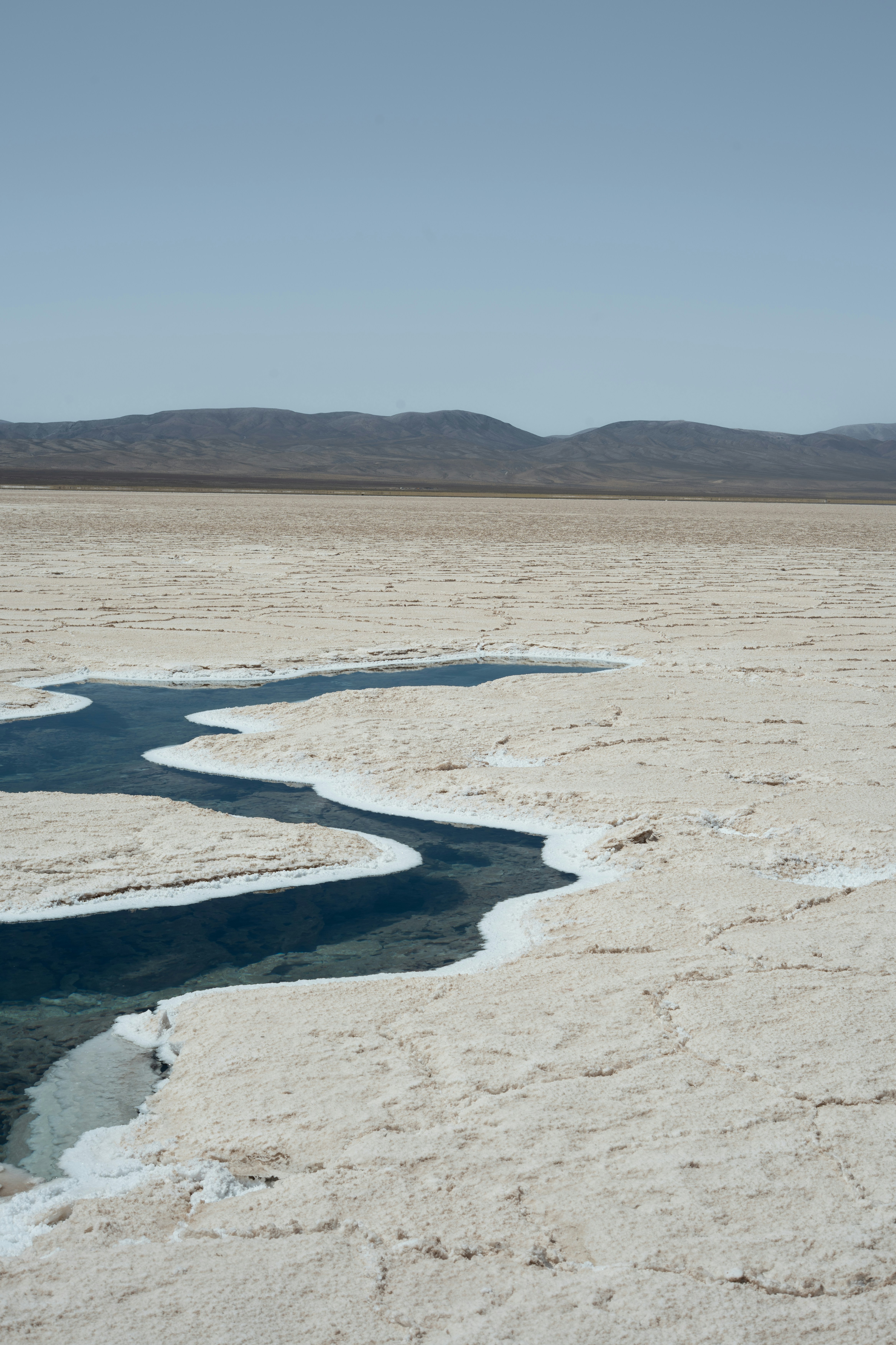 Salt Flats Meander: A Quiet Channel Carves Night Sky Light