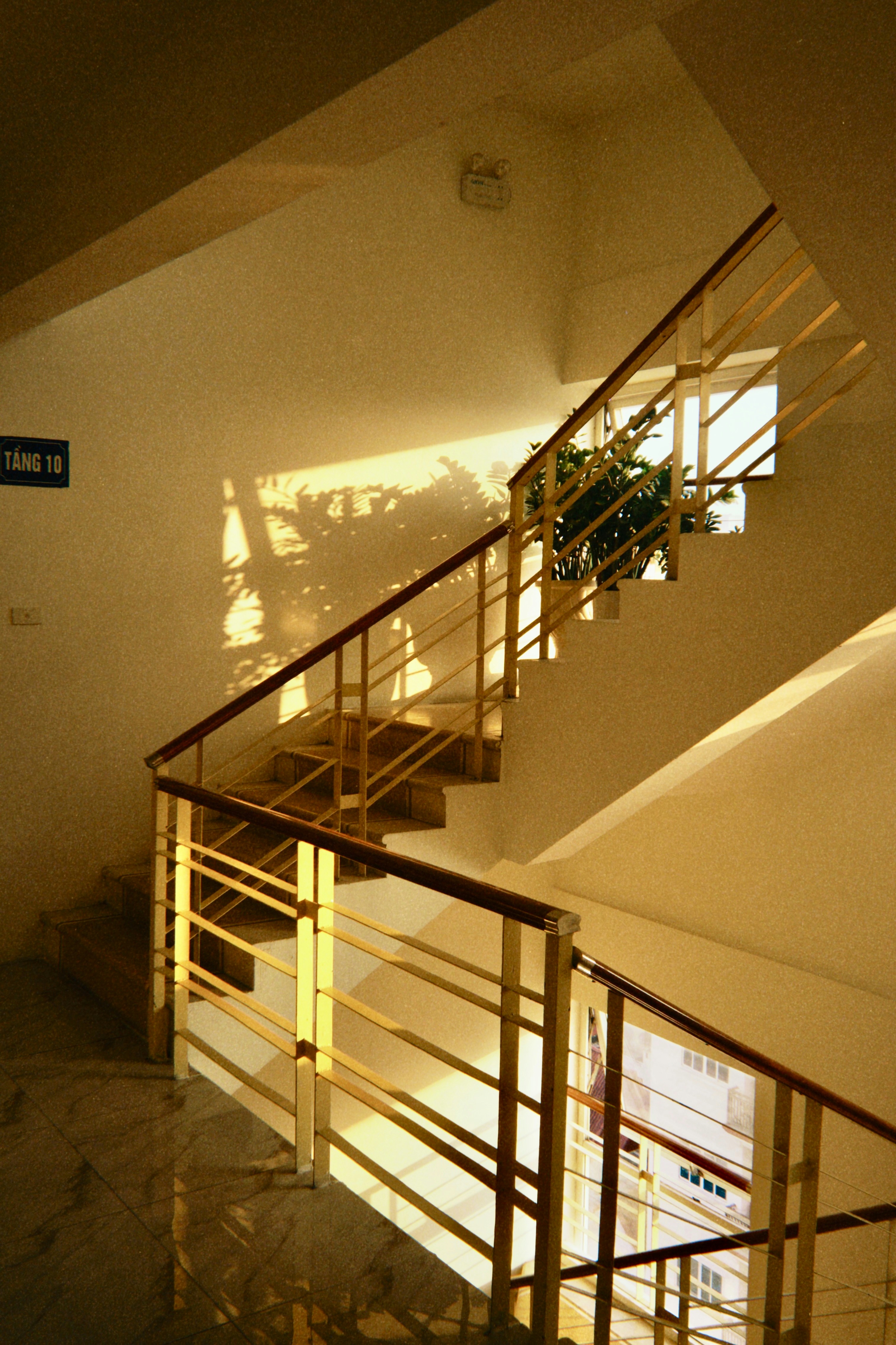 Shot on iPhone 11 Promax (scratched and damaged) with Dazzcam