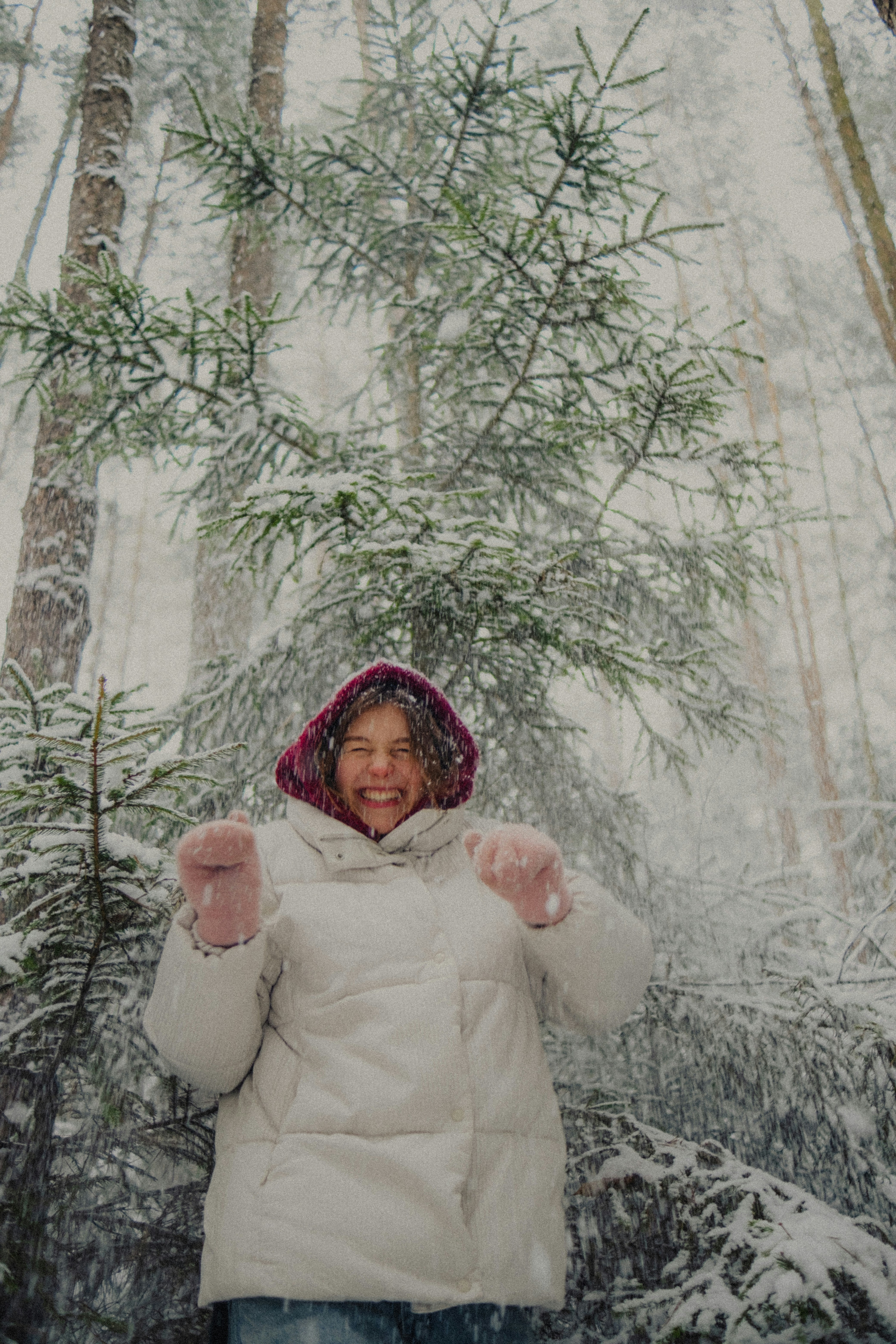 Joy Among Snow-Crowned Pines