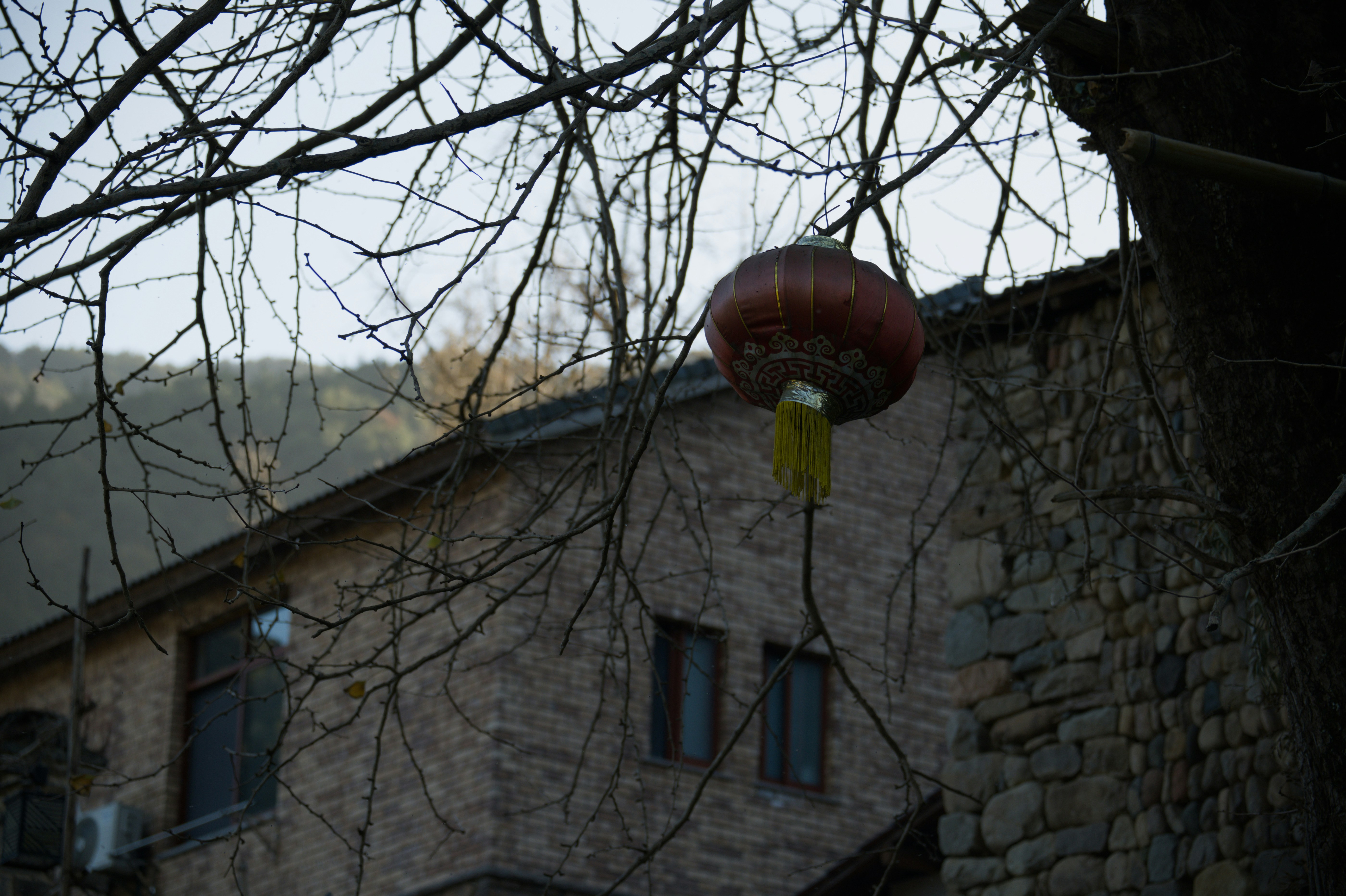 Lantern String in a Quiet Village Courtyard