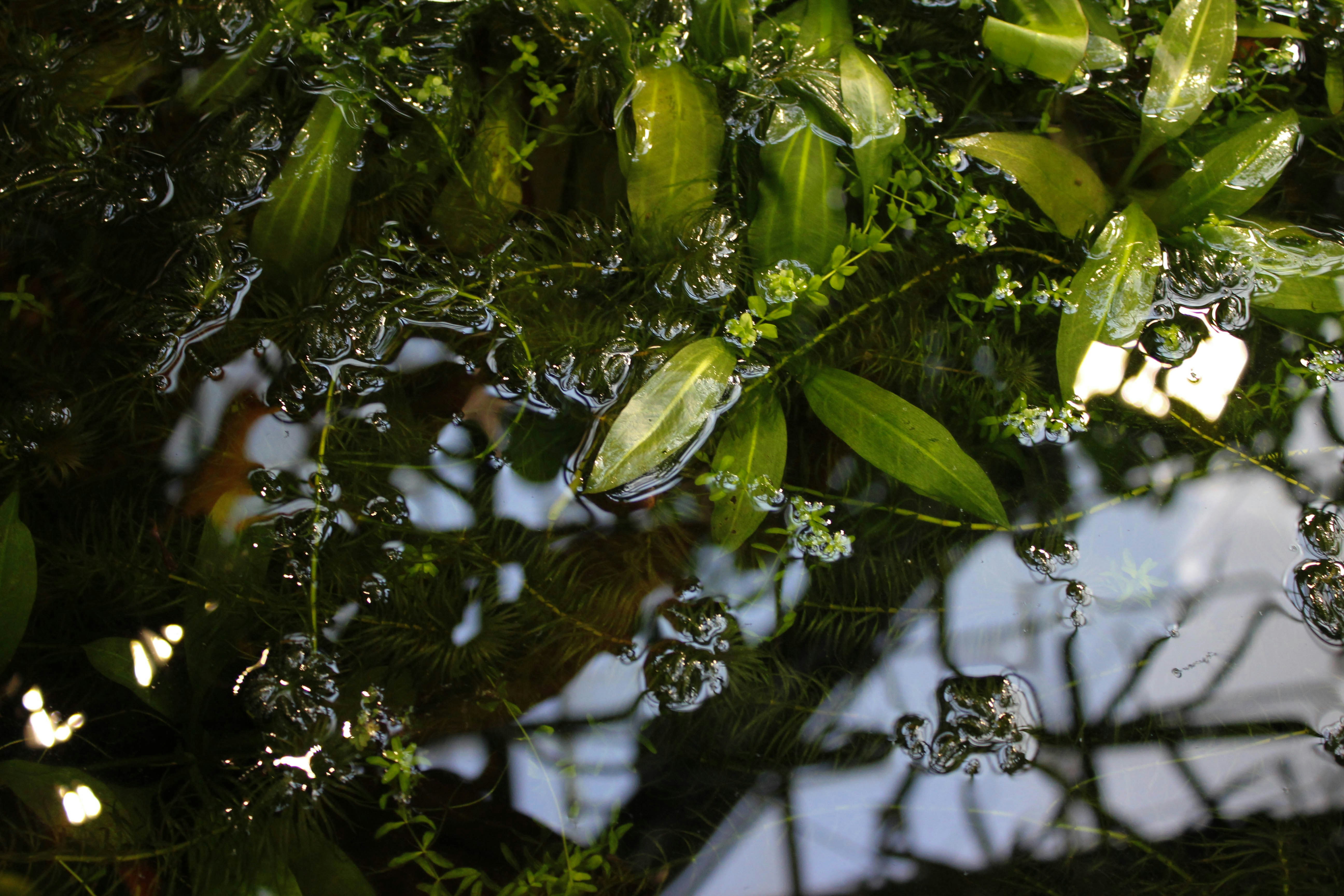 Photo by Anna Gelibterman with Canon EOS 550D