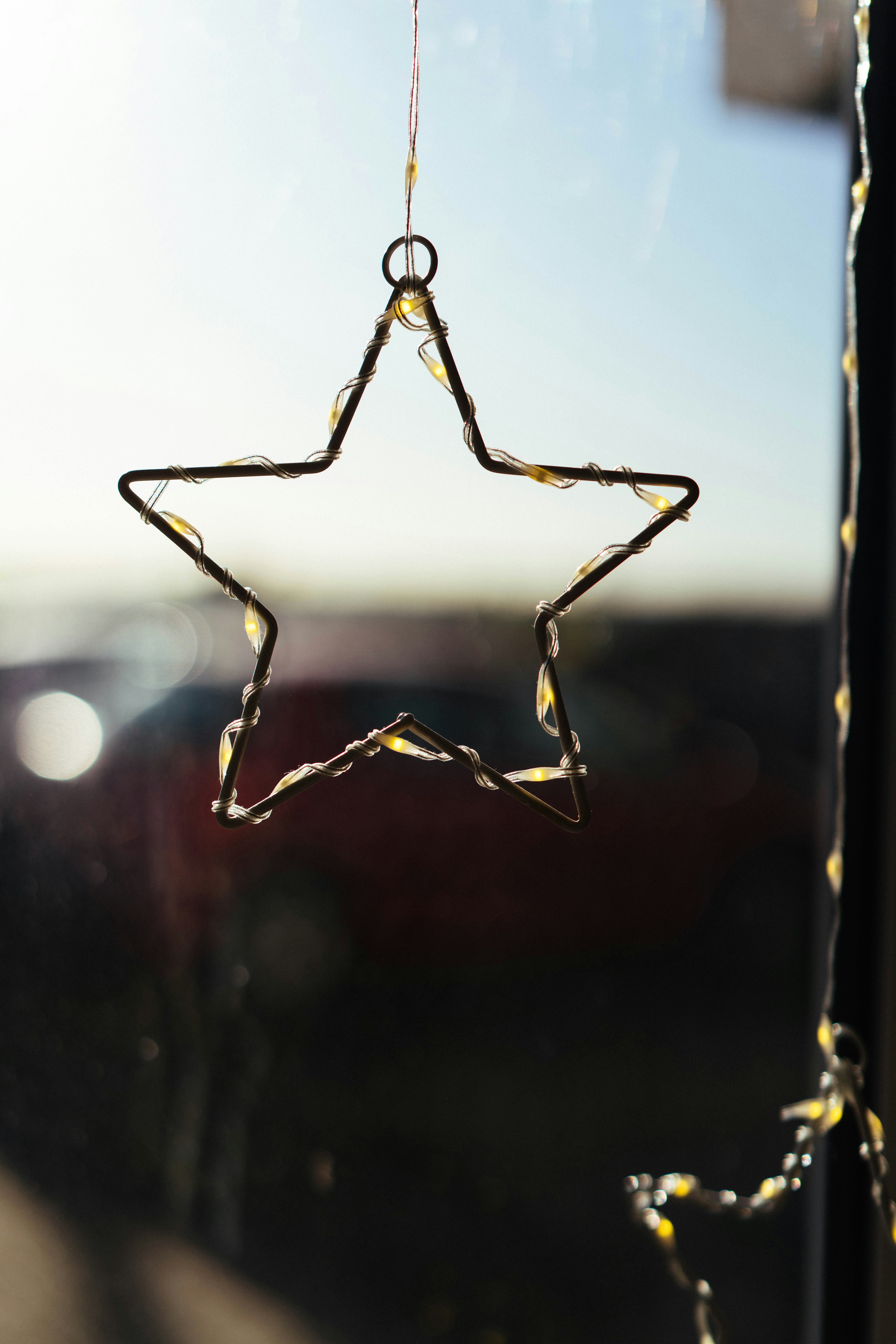 Photo by Phil Hearing with Sony Alpha 7R III