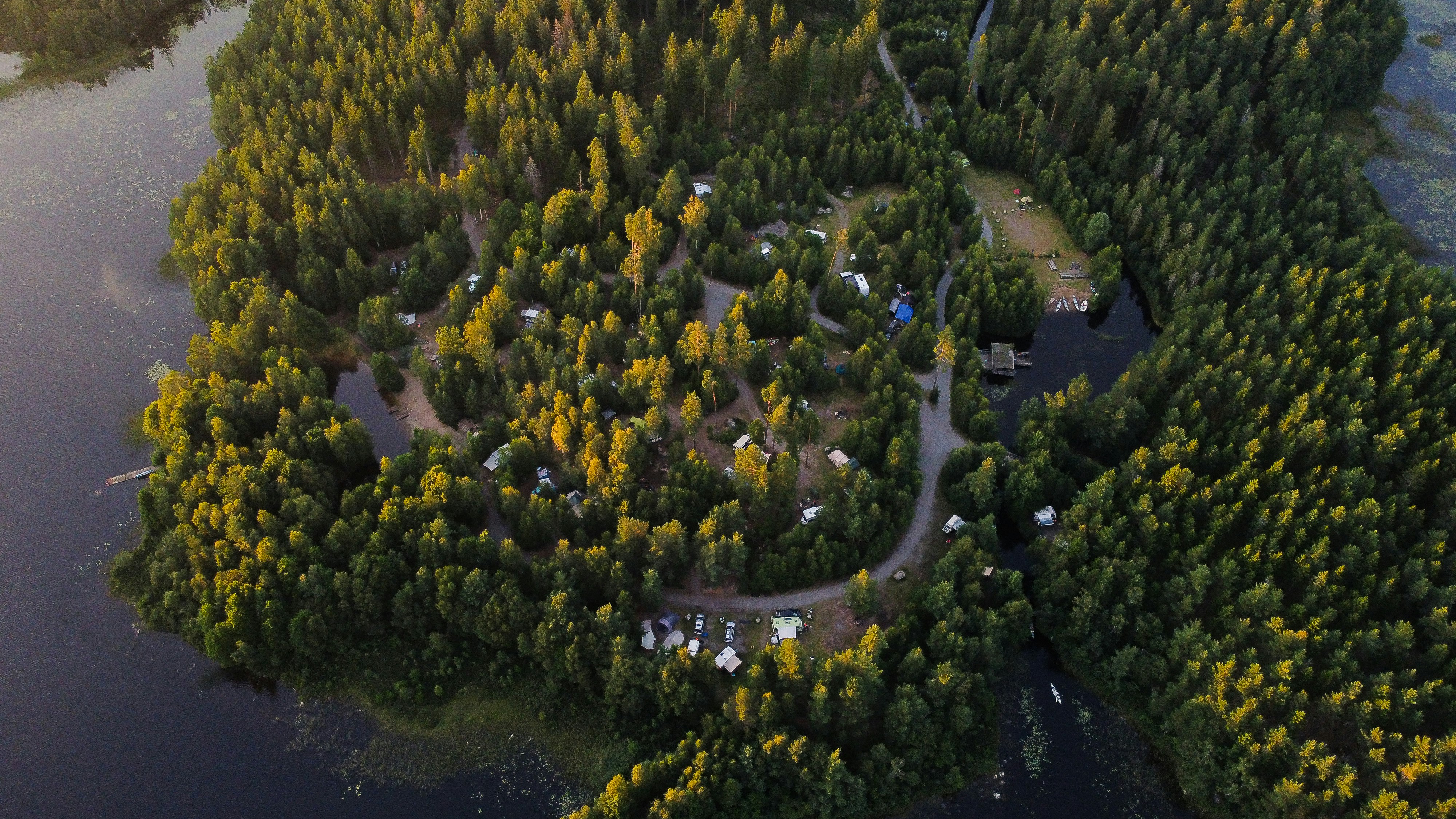 Forest Harbor: Aerial Mosaic of Pines and Docks