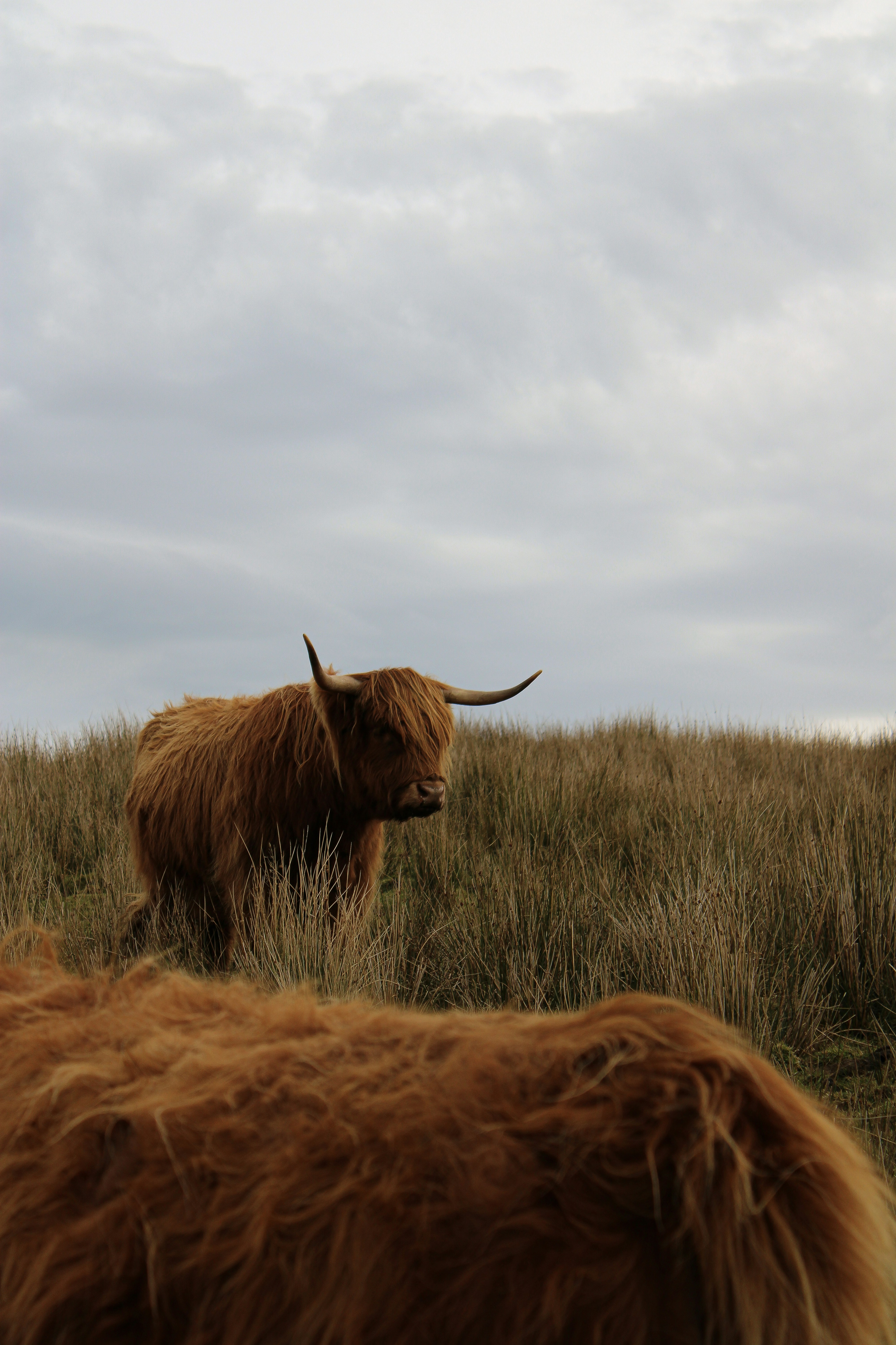 Photo by Glen McCallum with Canon EOS 2000D