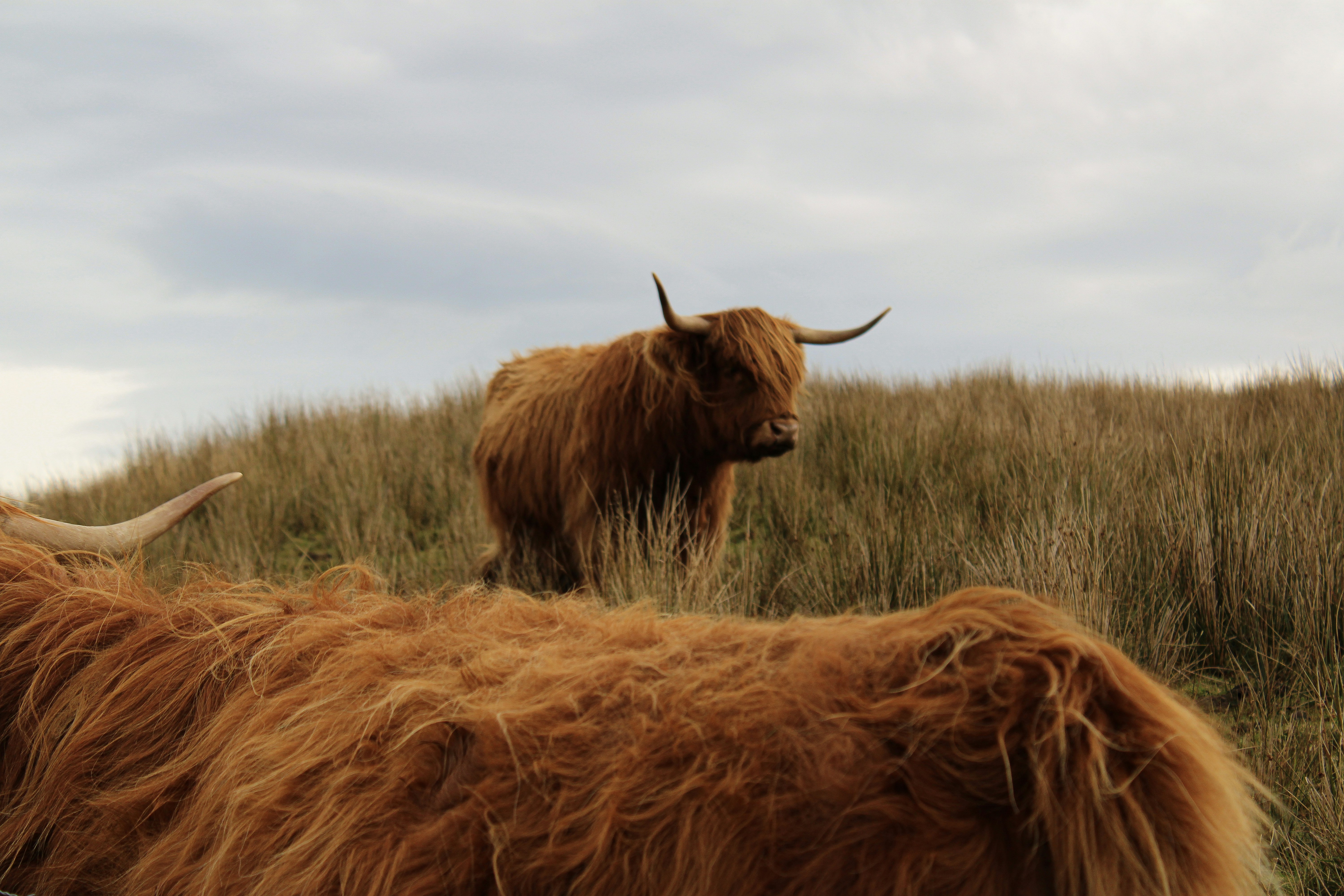 Photo by The Quiet Atlas with Canon EOS 2000D