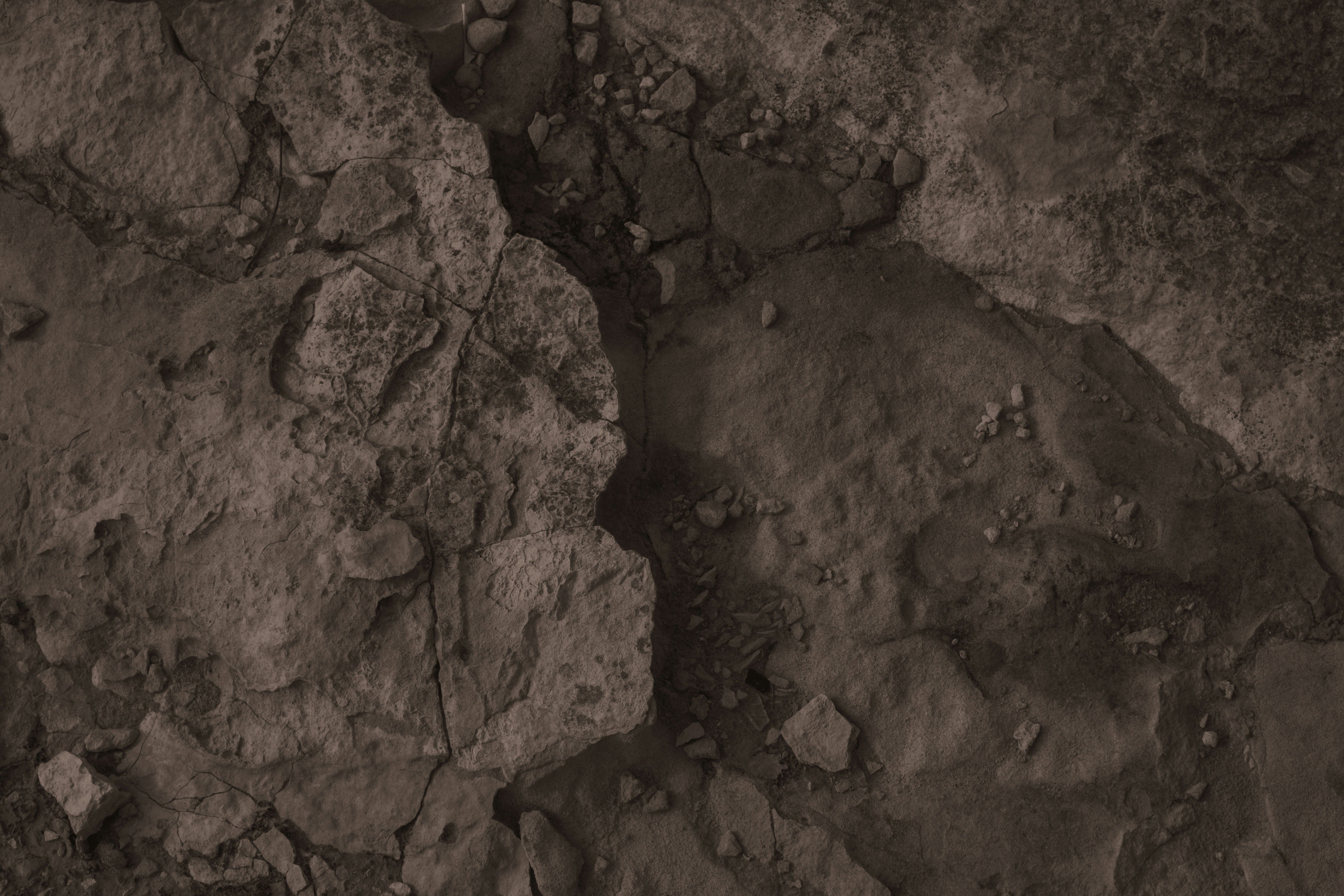 Photo by Bea Vallejo with Fujifilm X-T4