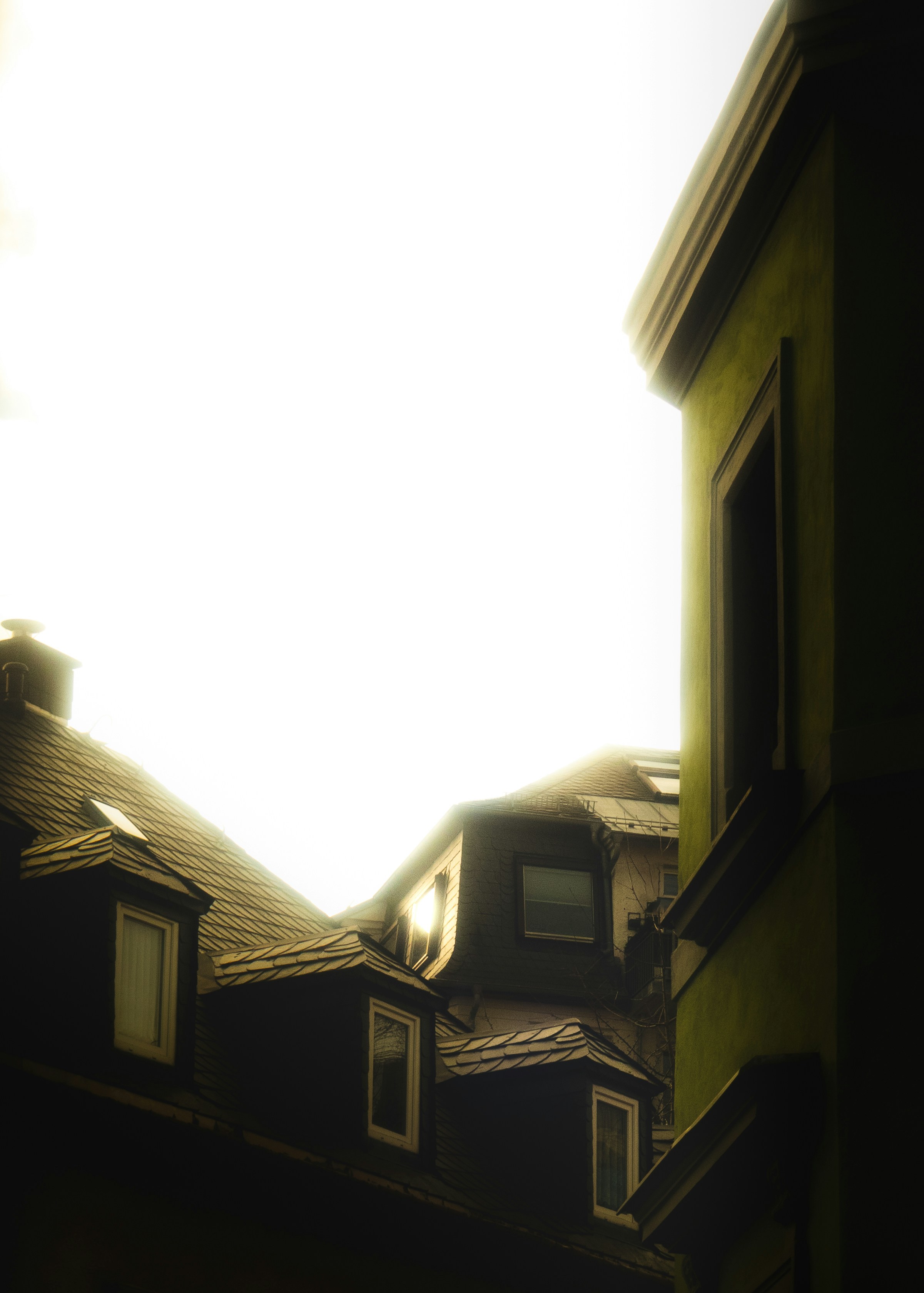 Photo by Leonardo Scharm with Canon EOS R50