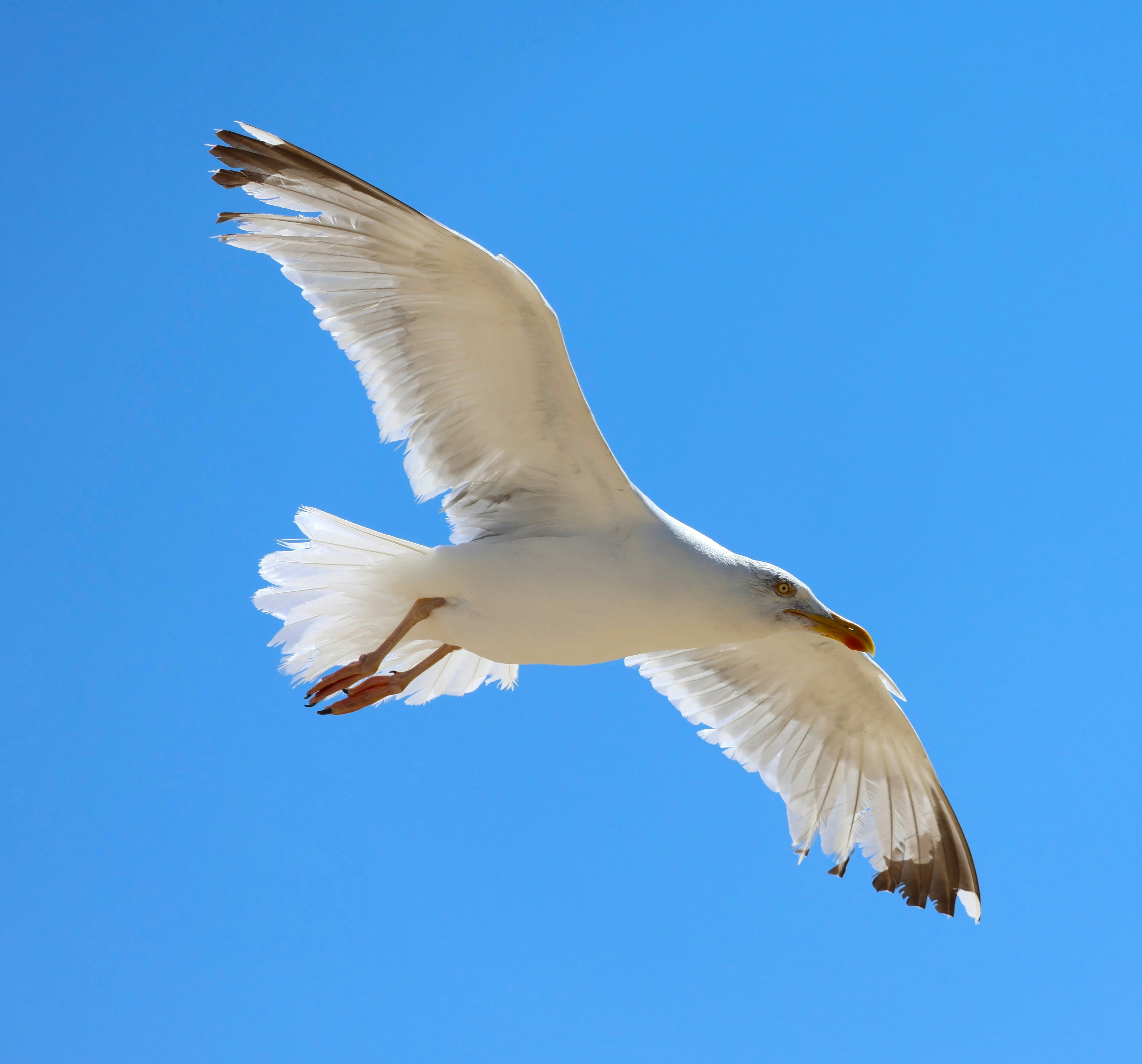 Photo by Damien Reviron with Canon EOS R7