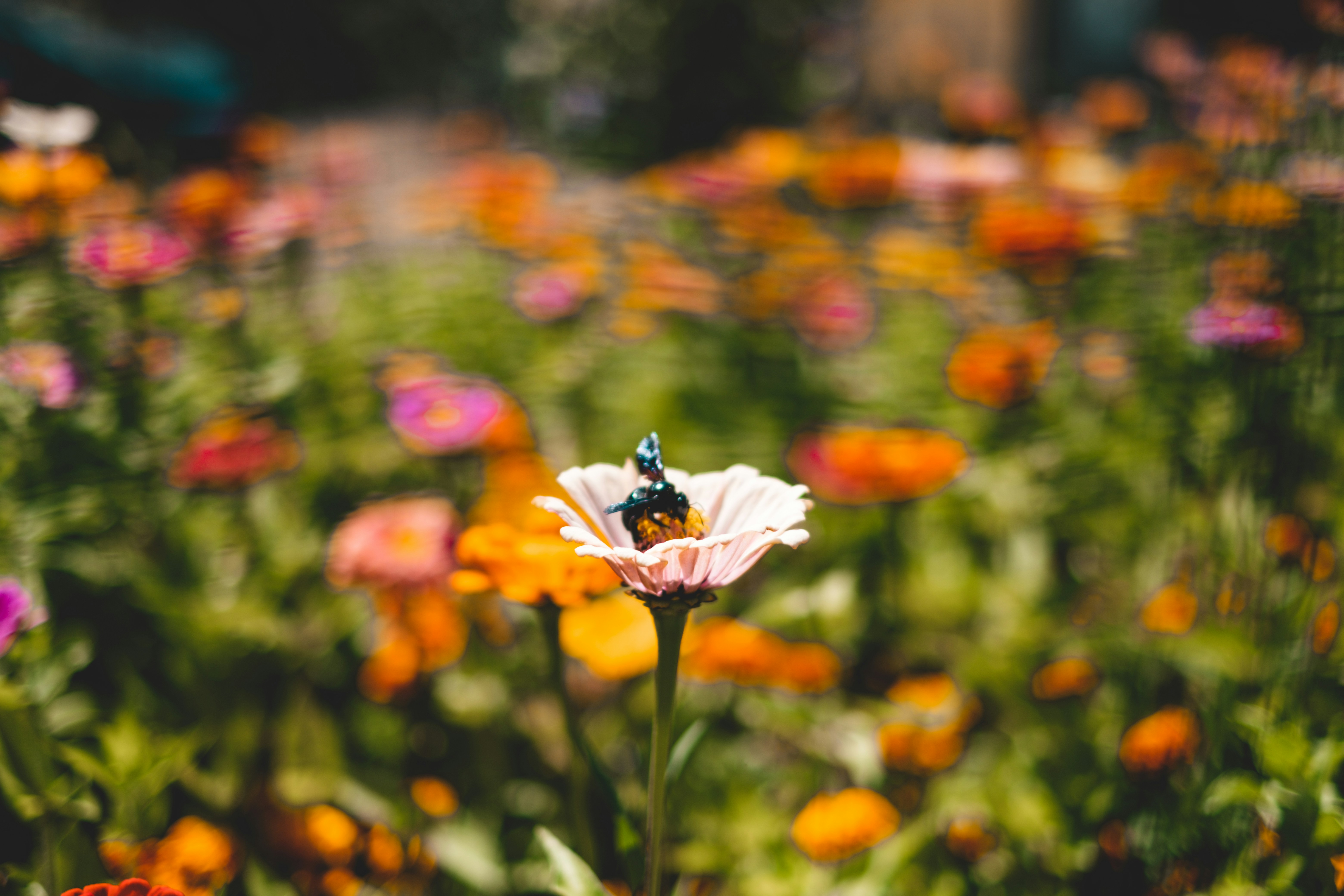 Photo by Bea Vallejo with Fujifilm X-T4