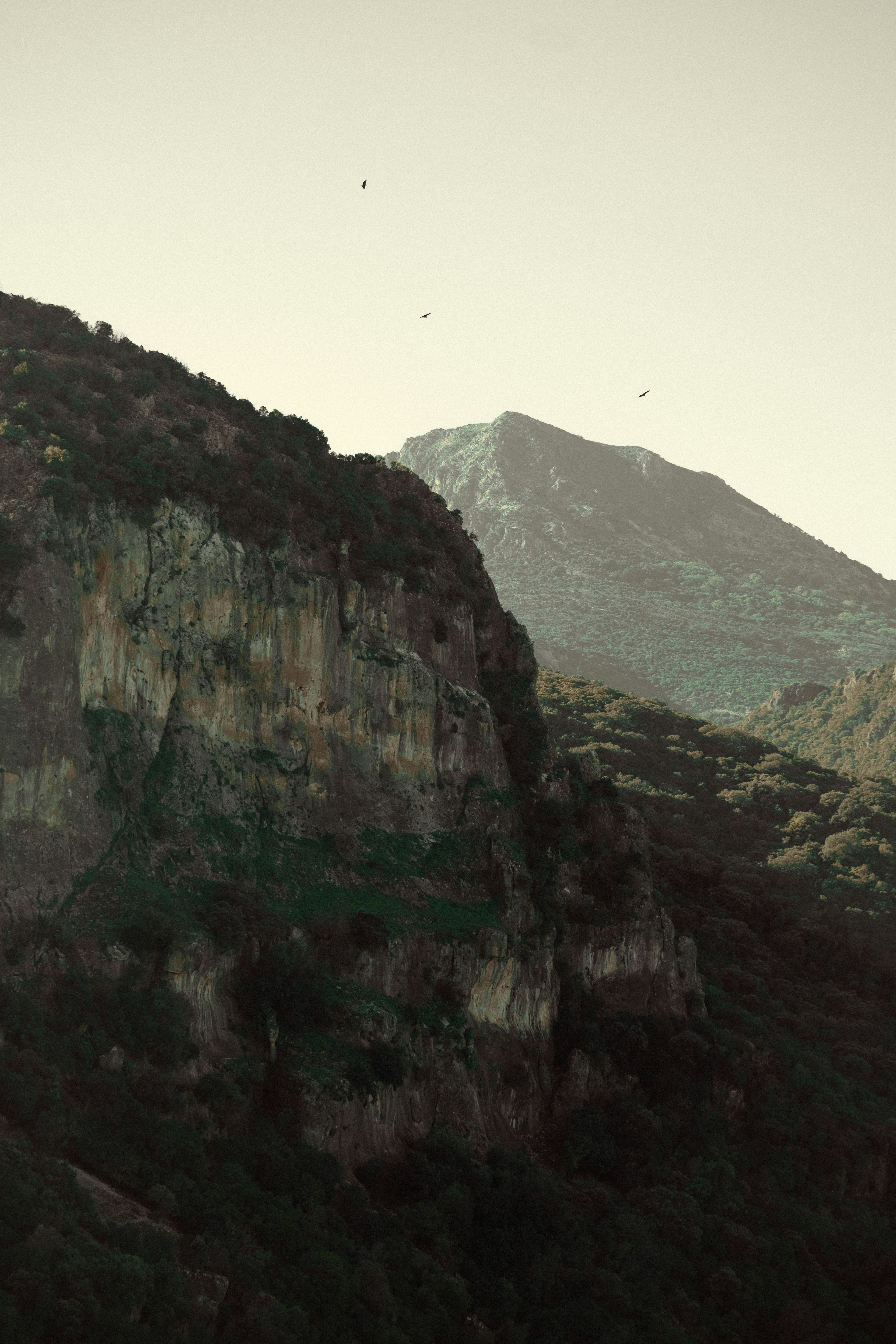 Photo by Bea Vallejo with Fujifilm X-T4