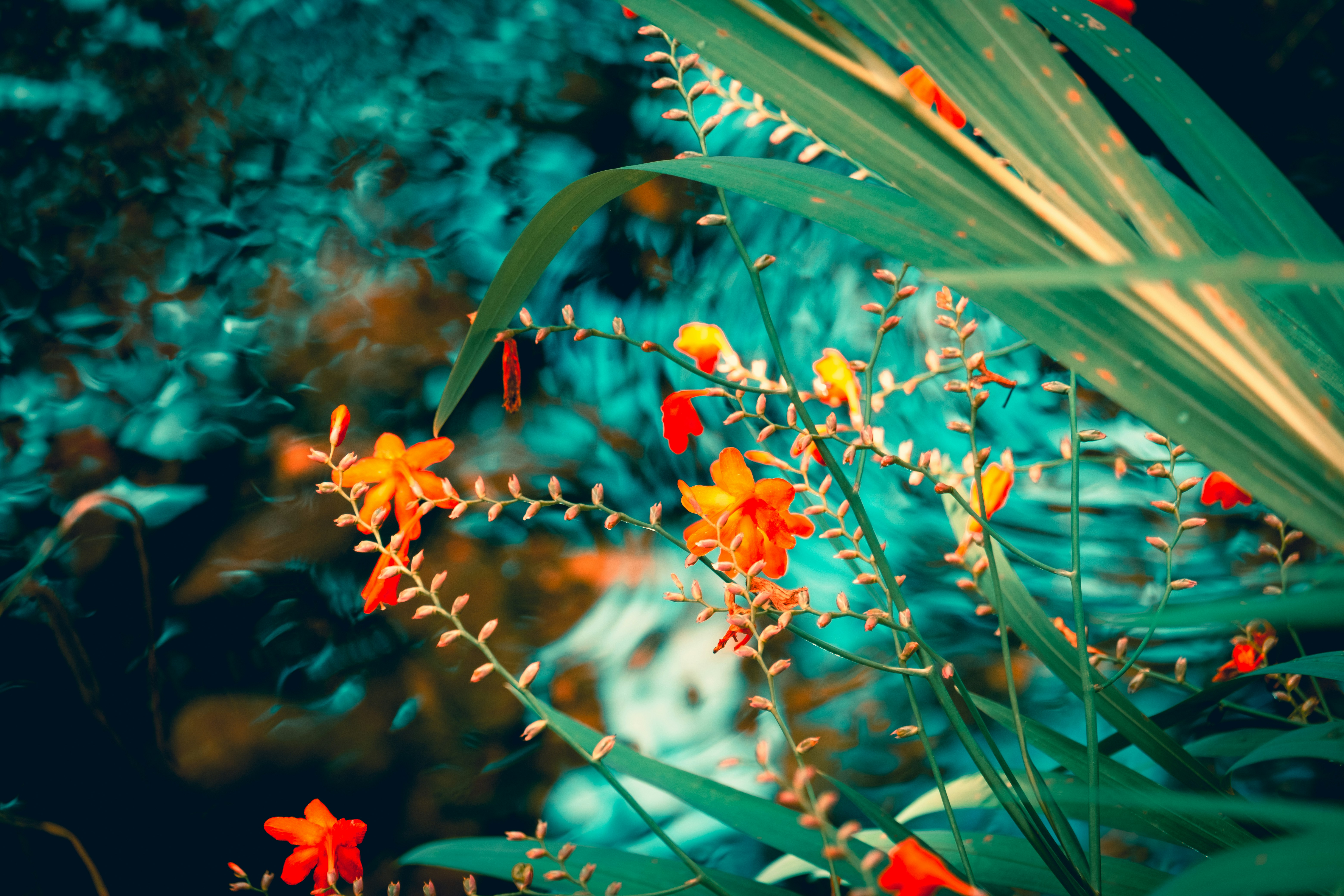 Photo by Bea Vallejo with Fujifilm X-T4