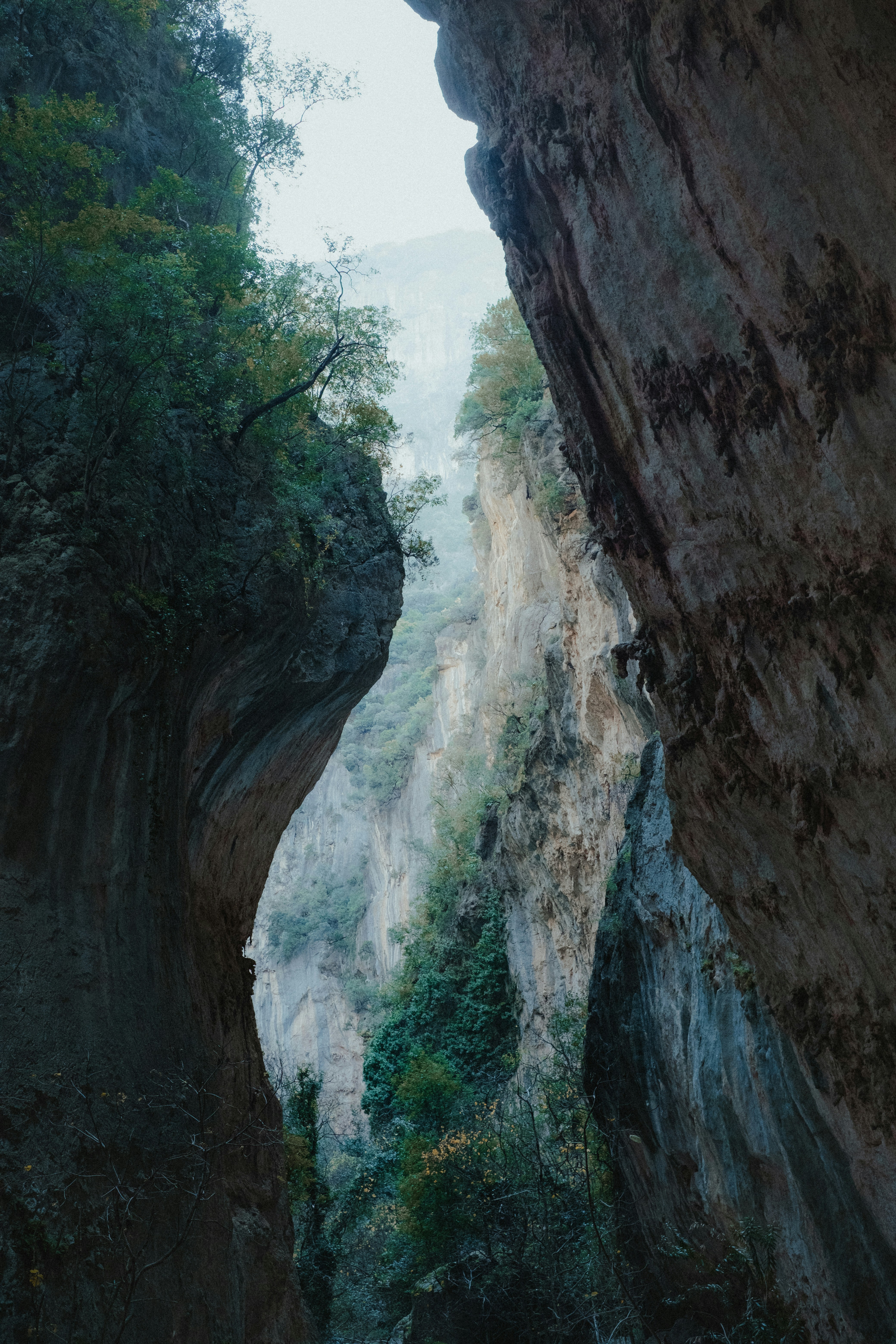 Canyon Friar: A Narrow Gorge Between Weathered Cliffs