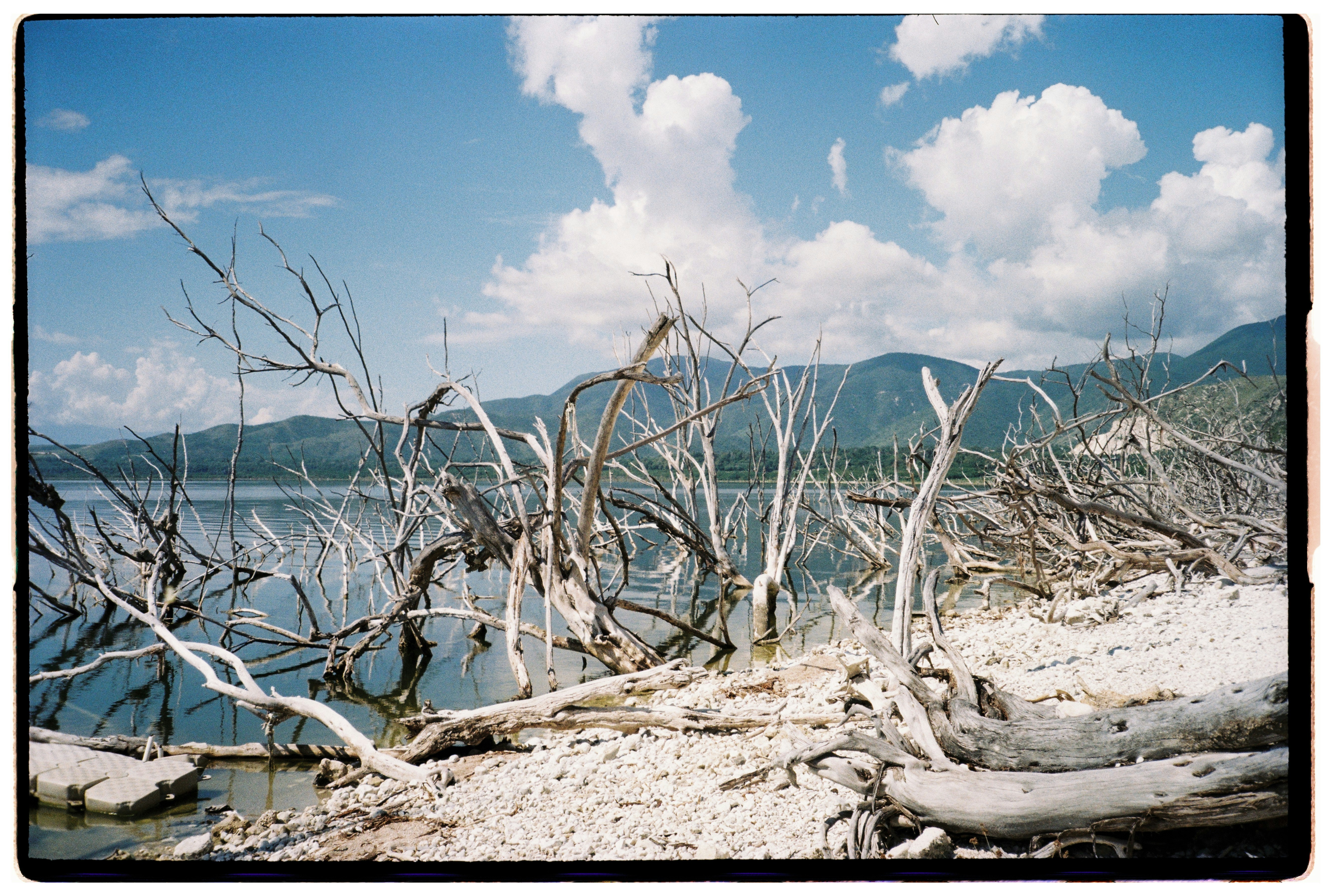 Photo by Laura Durán with Fujifilm SP500