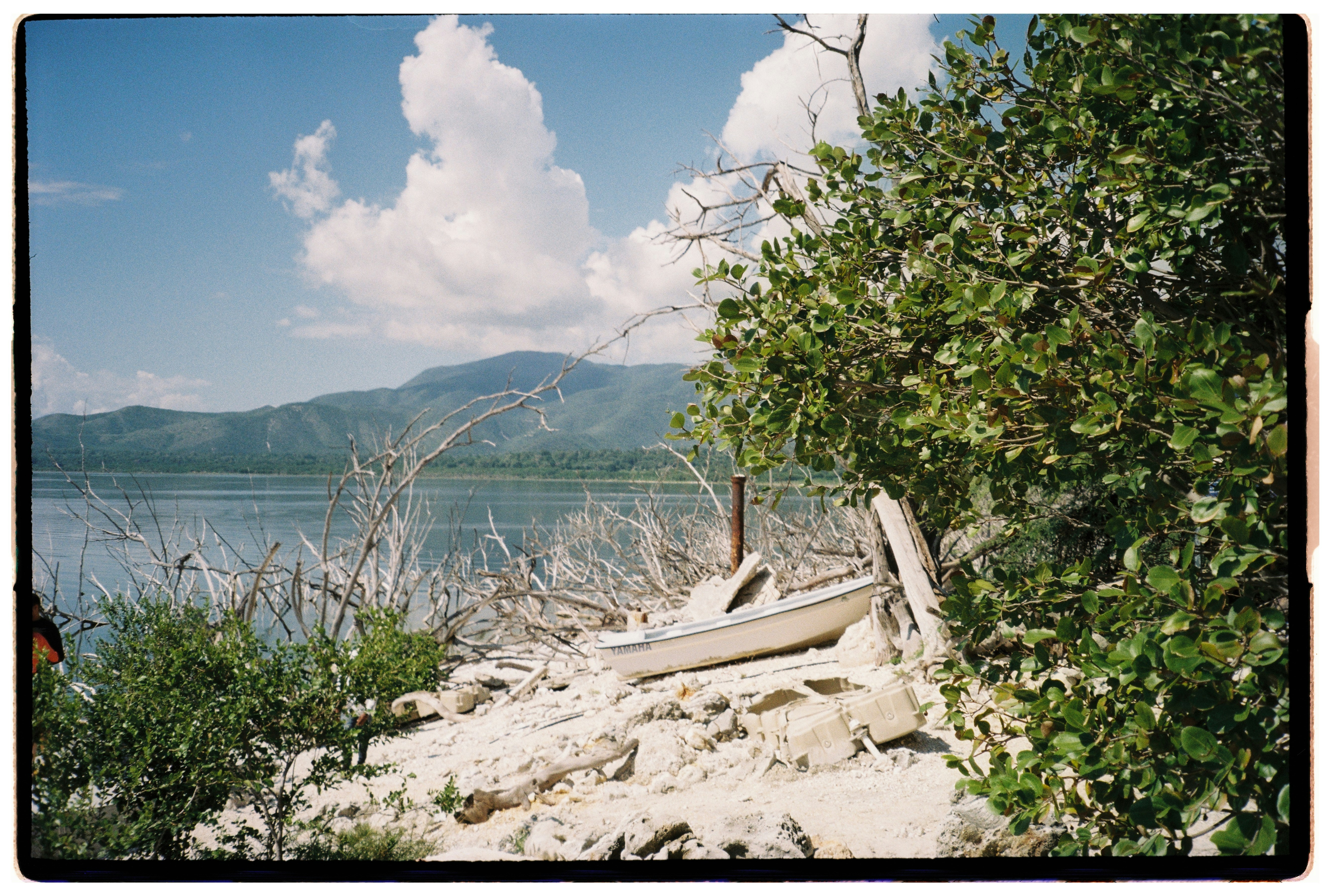 Photo by Laura Durán with Fujifilm SP500