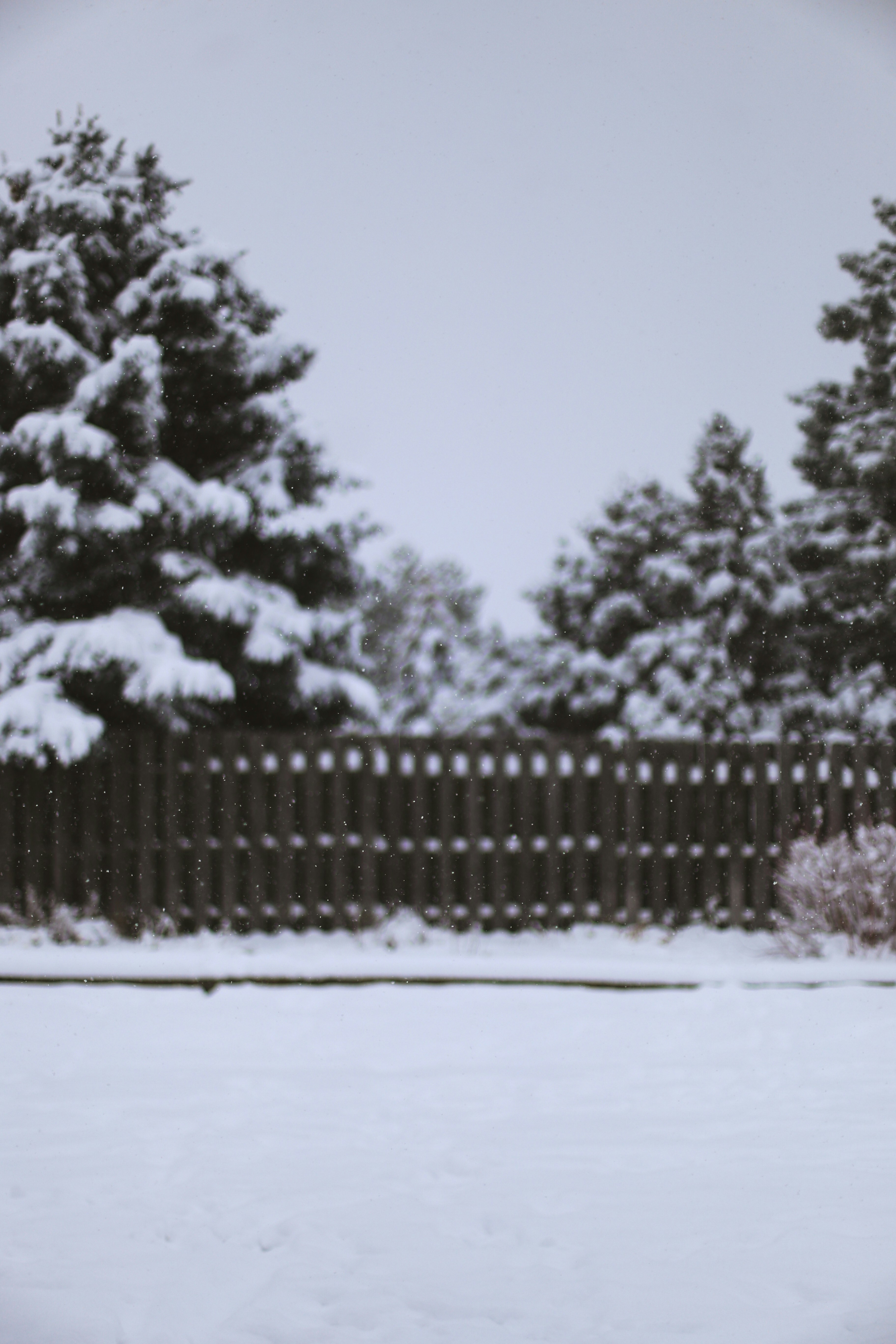 Photo by Jessica Fadel with Canon EOS 6D