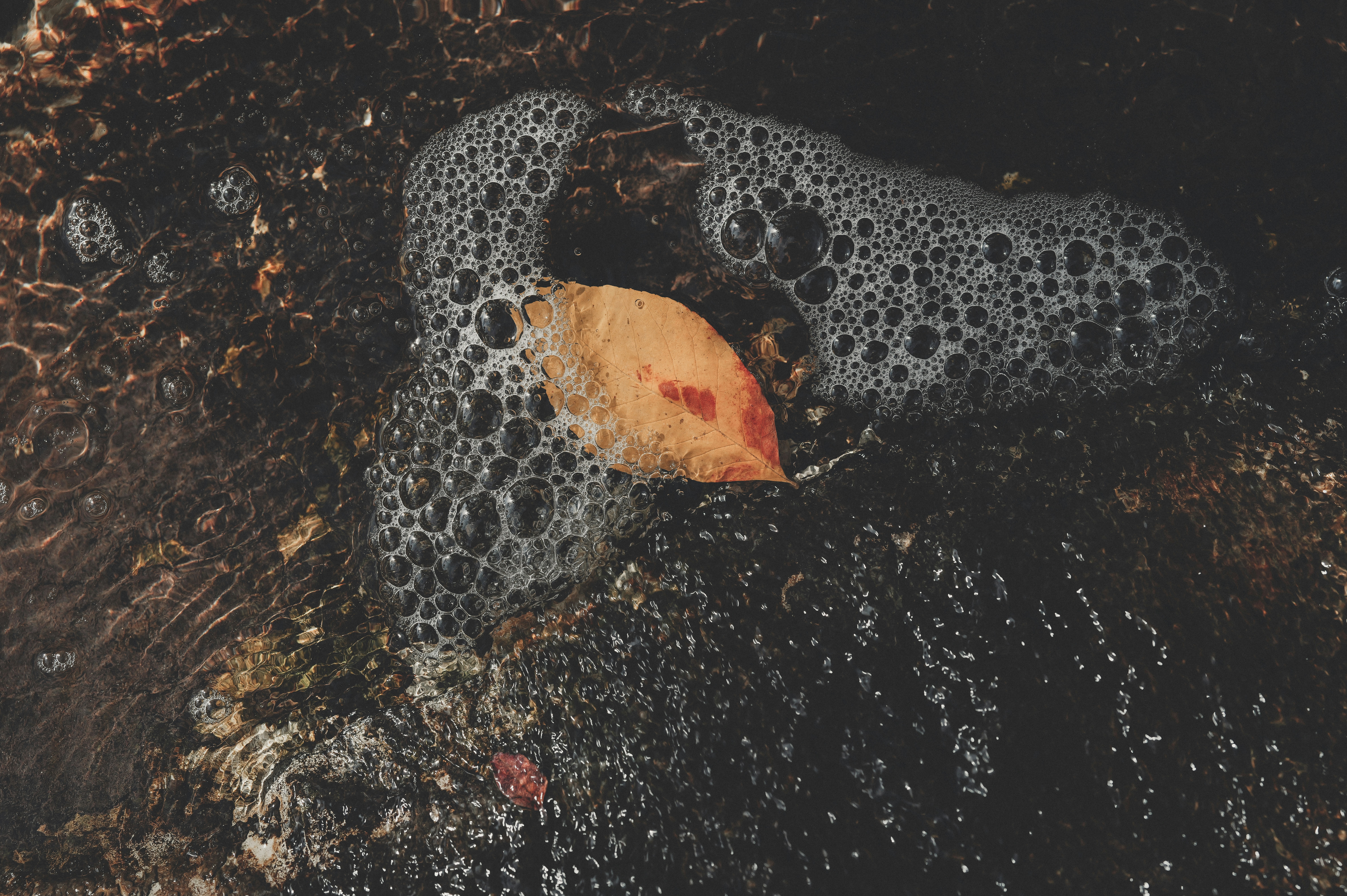 A single autumn leaf caught in foamy bubbles along a dark stream, contrasting texture and motion.