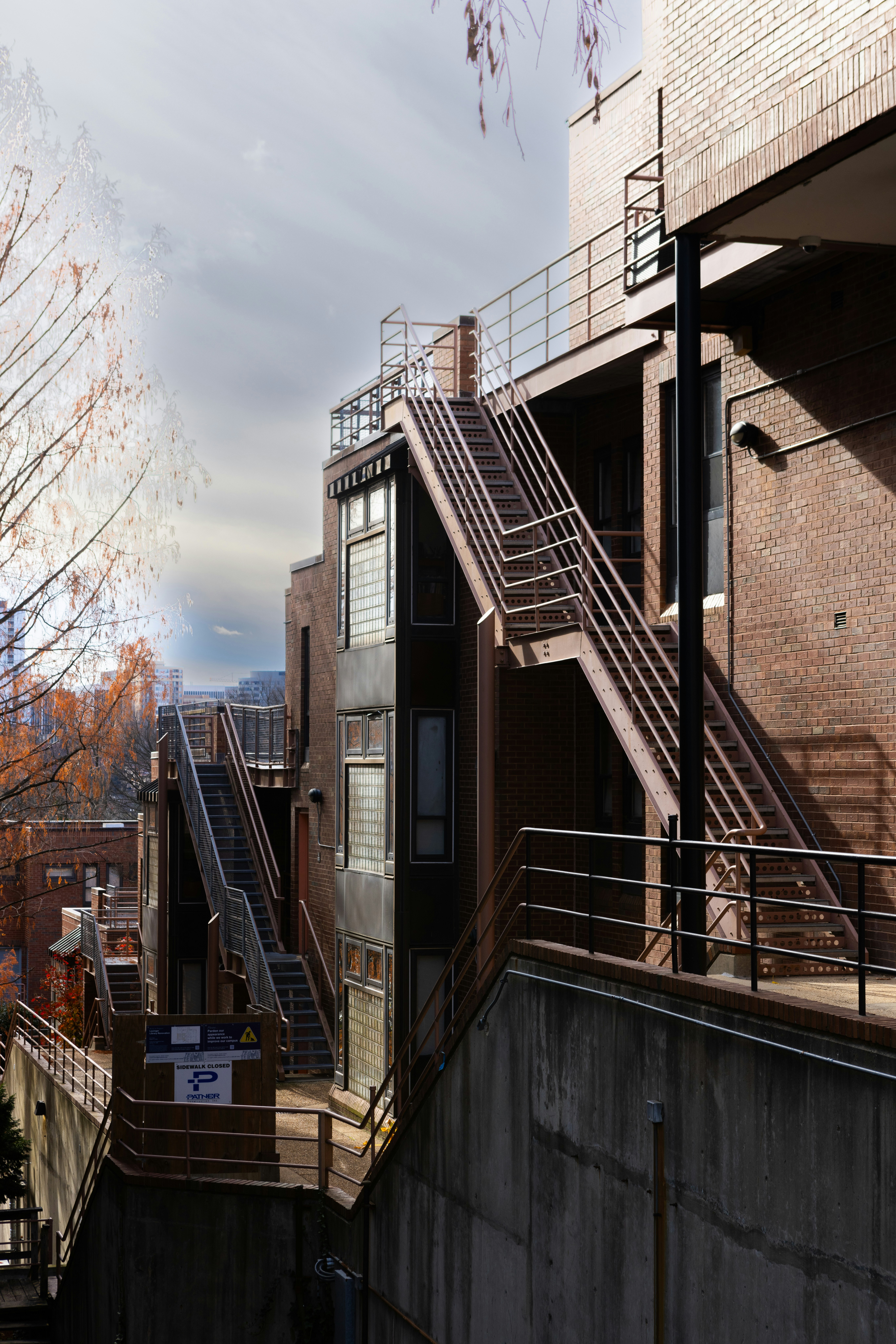 Photo by Solomon Yu with Canon EOS R5