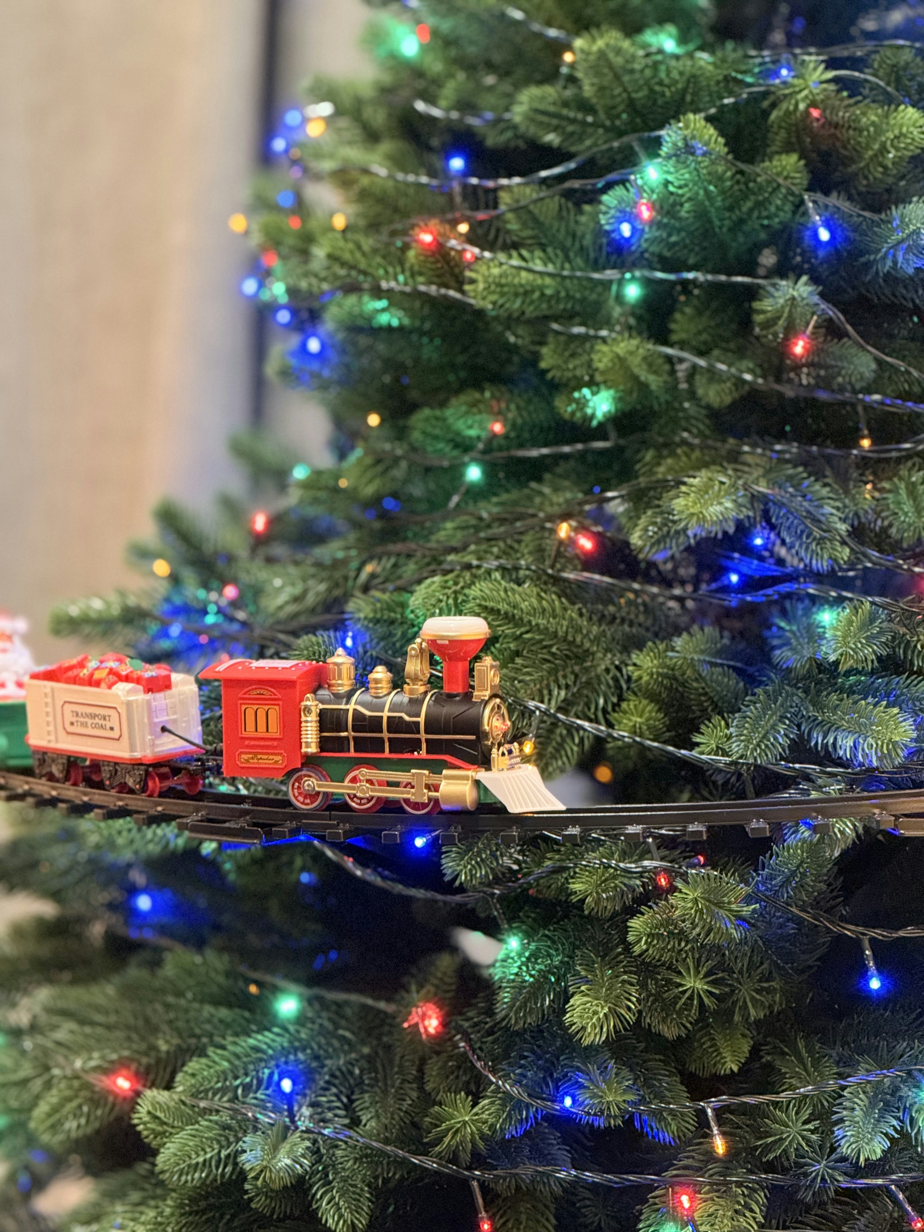Mini Steam Dream on Holiday Tracks