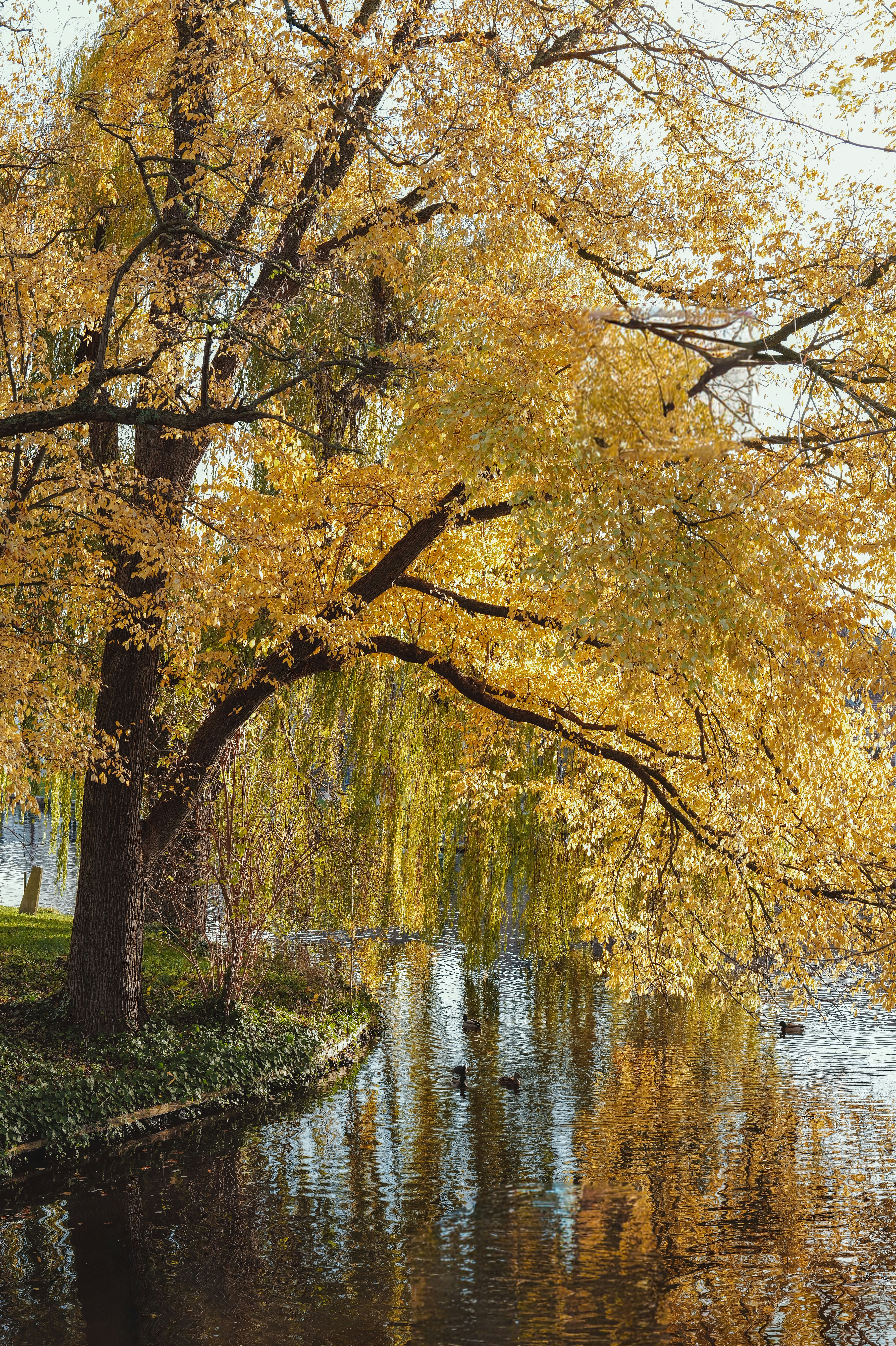 Photo by Sijmen van Hooff with Leica Q3 43