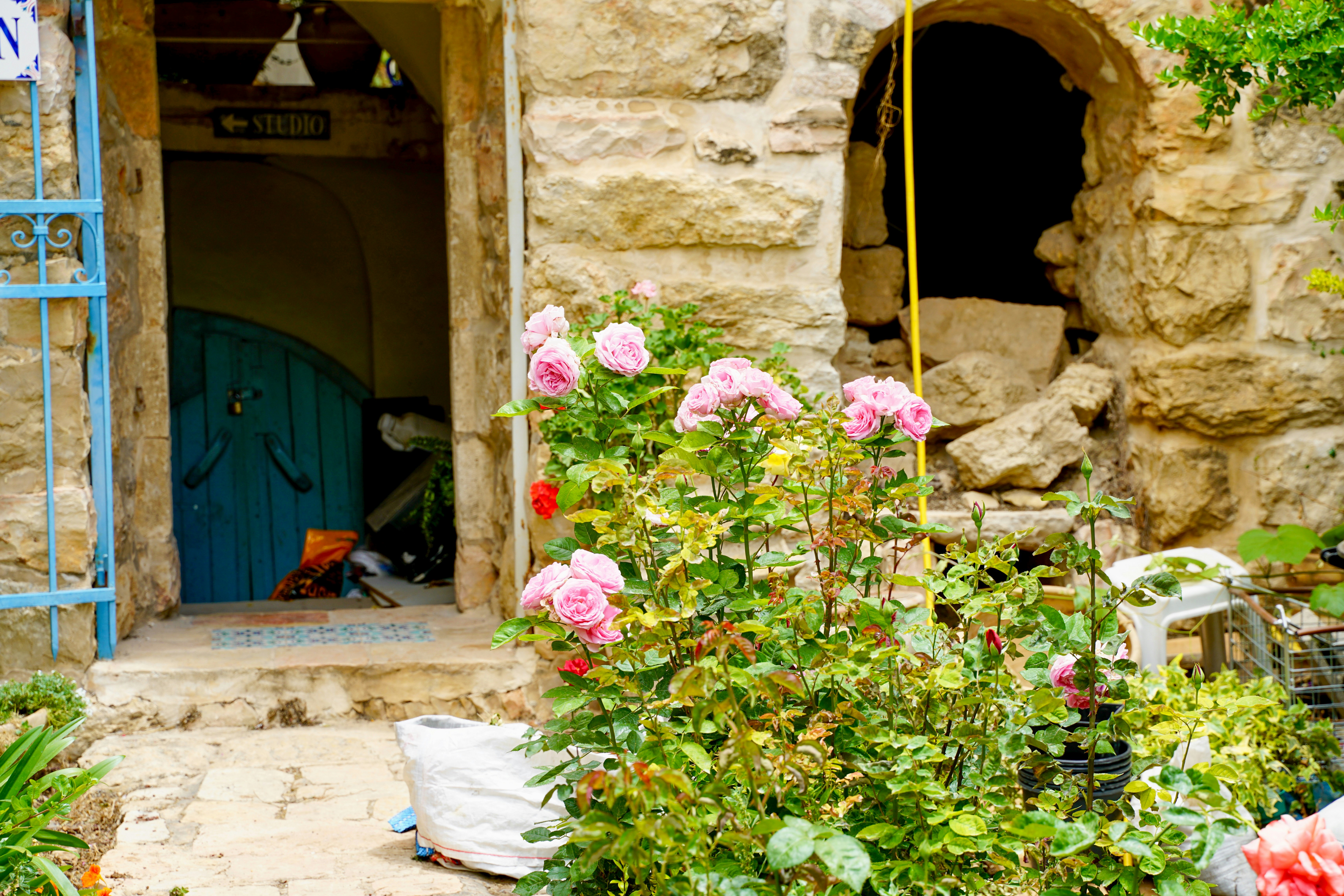 Rose Garden Courtyard at the Village Gate