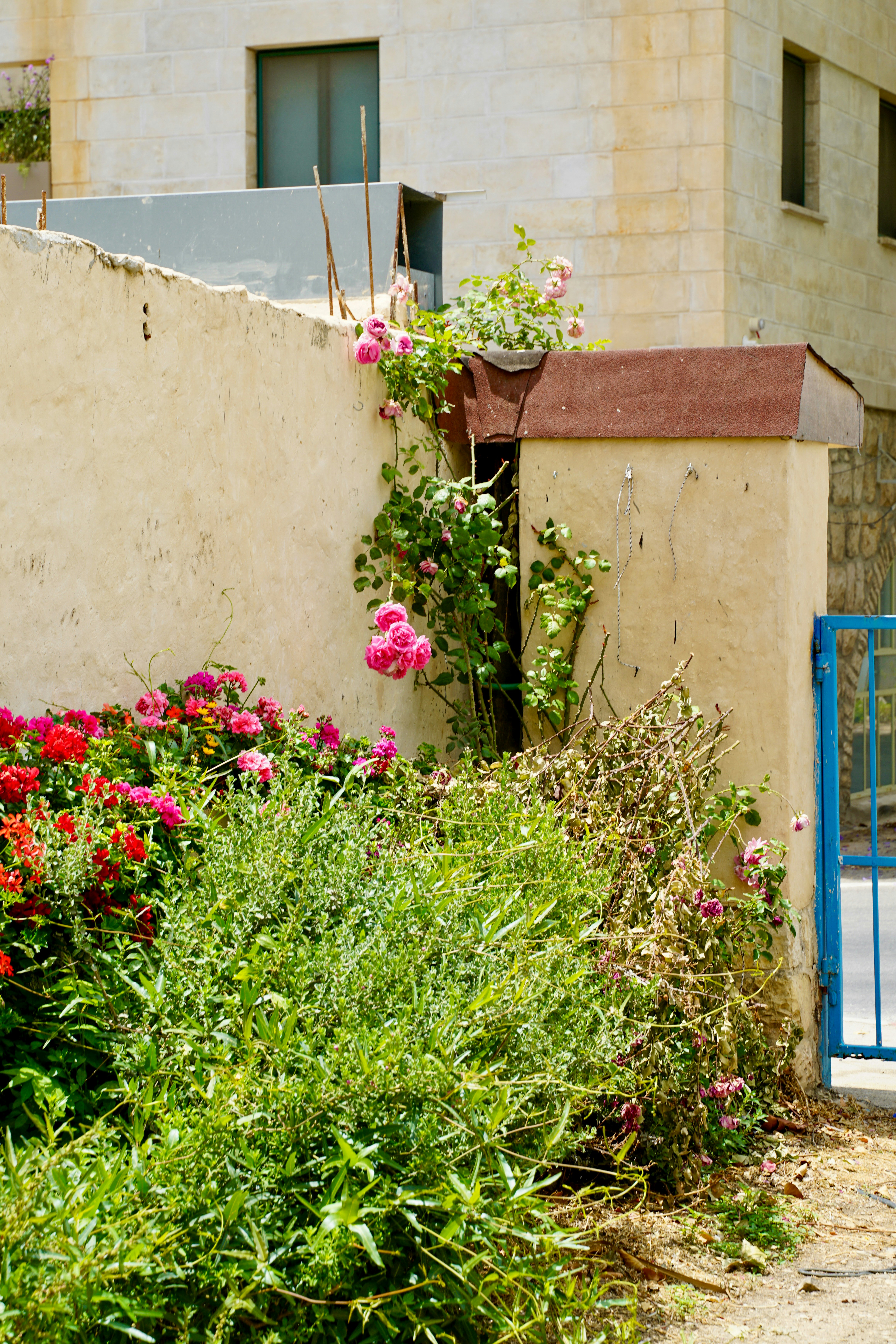 Photo by George 🦅 with Sony Alpha 7R II