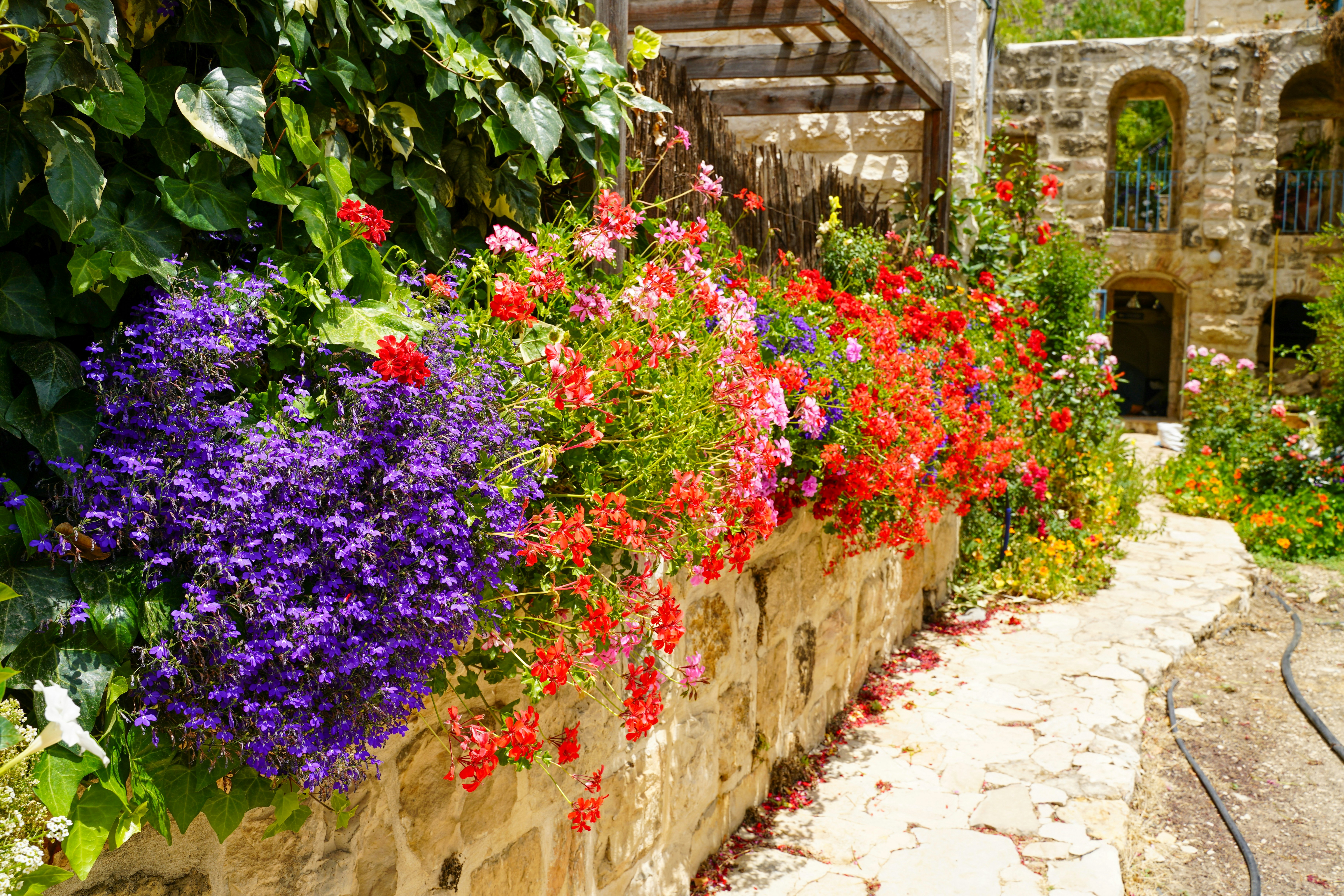 Photo by George 🦅 with Sony Alpha 7R II