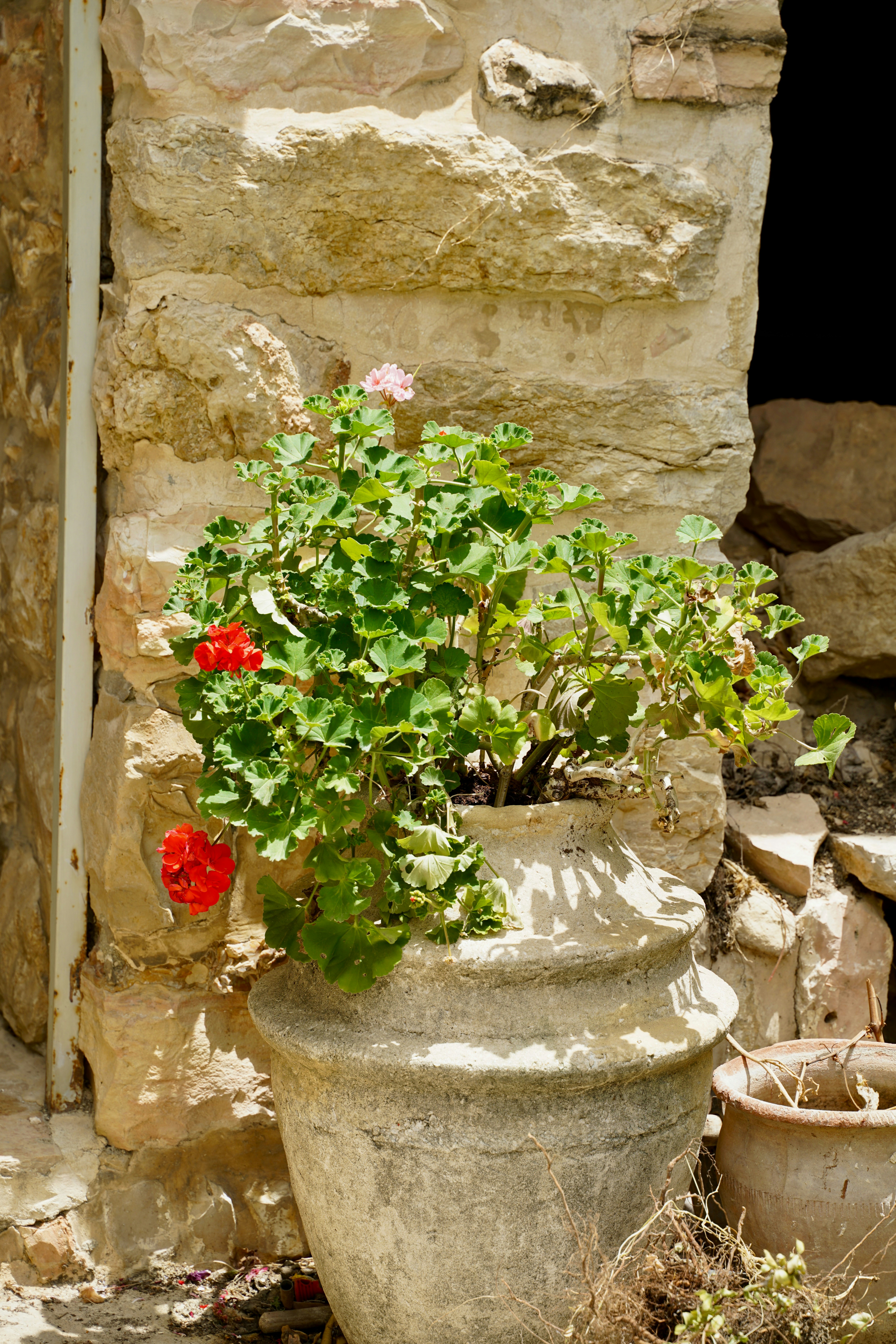 Photo by George 🦅 with Sony Alpha 7R II