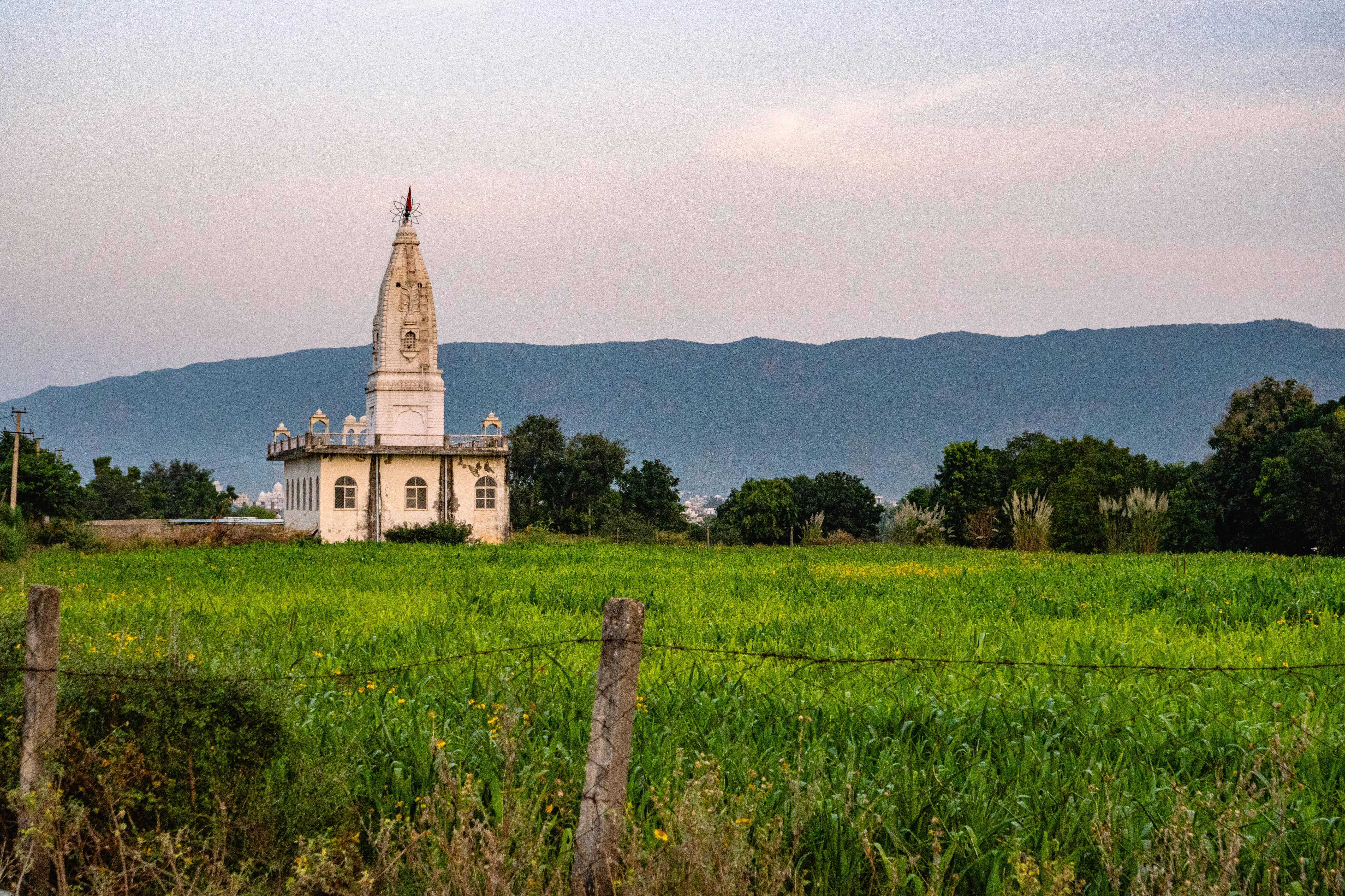 Pastoral Shrine in a Green Meadow with distant Blue Ridge