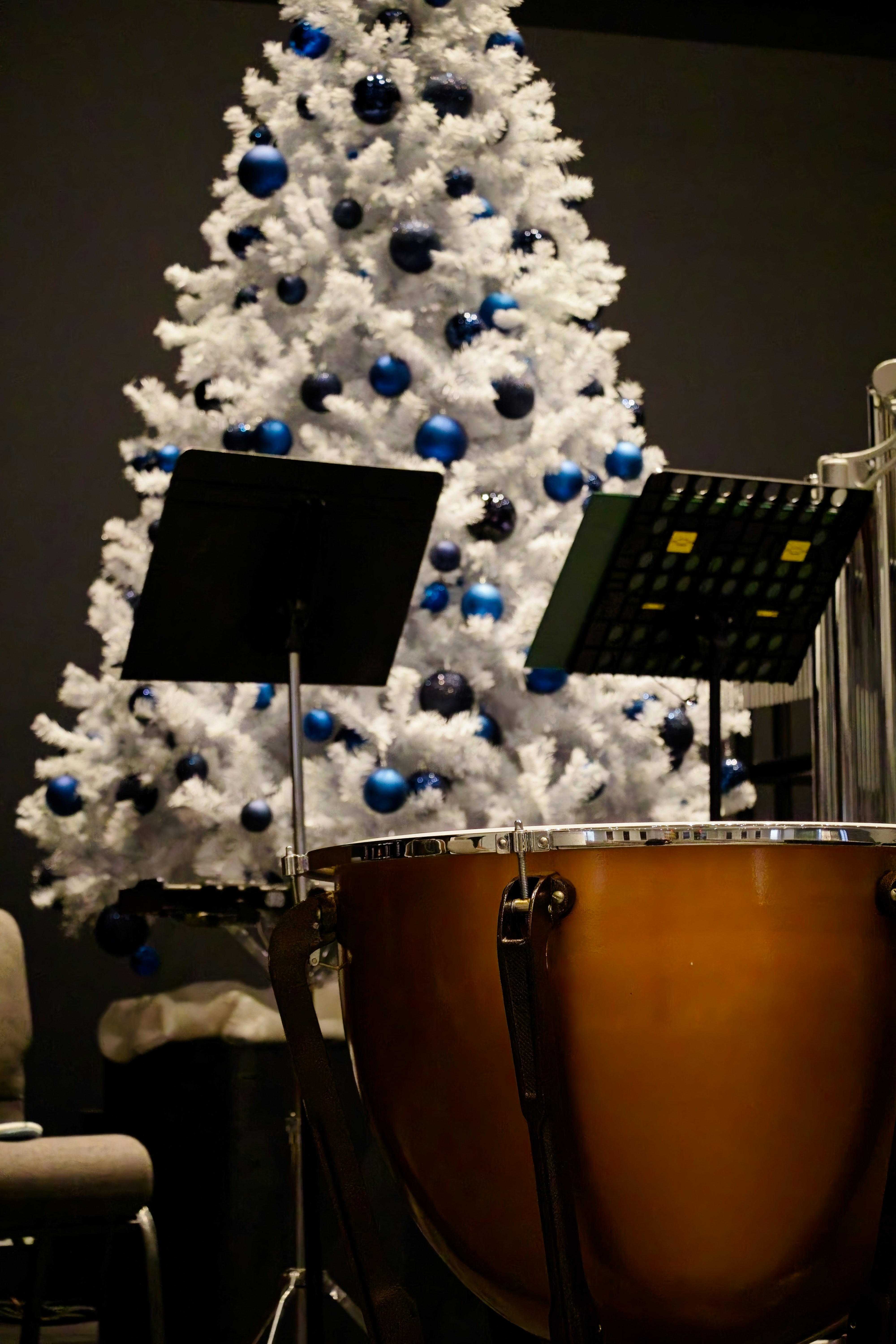 A timpani drum against a Christmas tree and music stands before the concert.