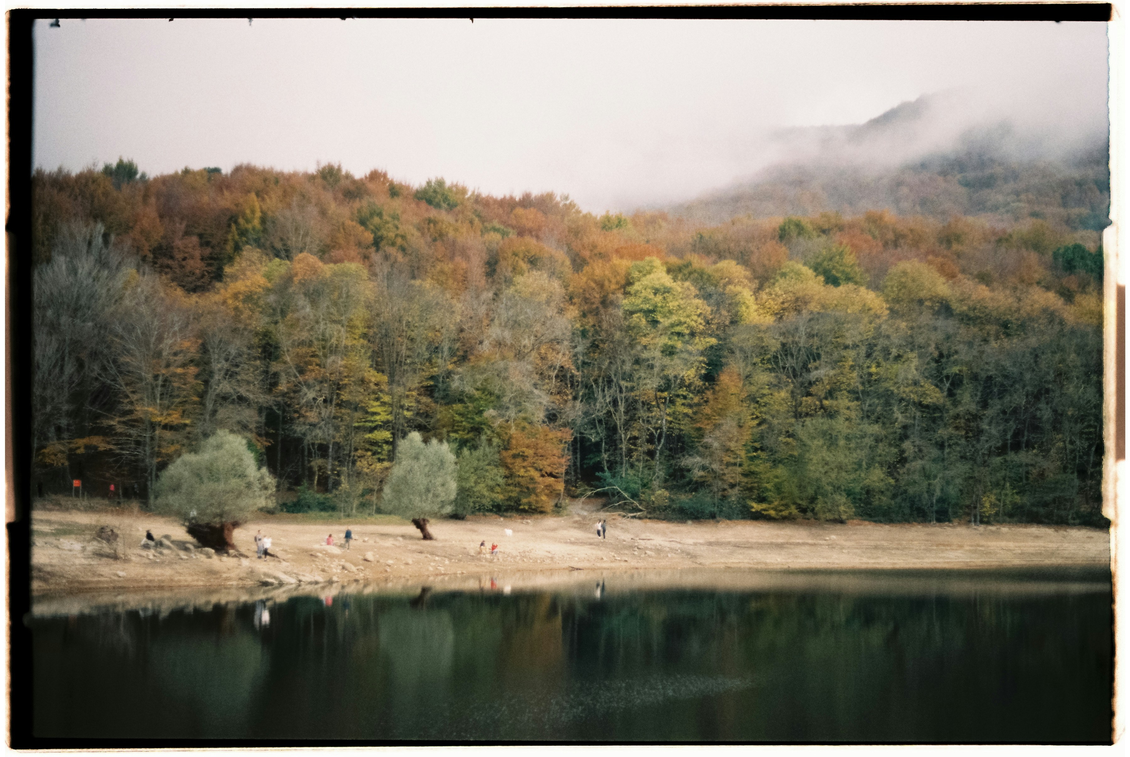 Photo by Pau Gomez with Fujifilm SP-3000