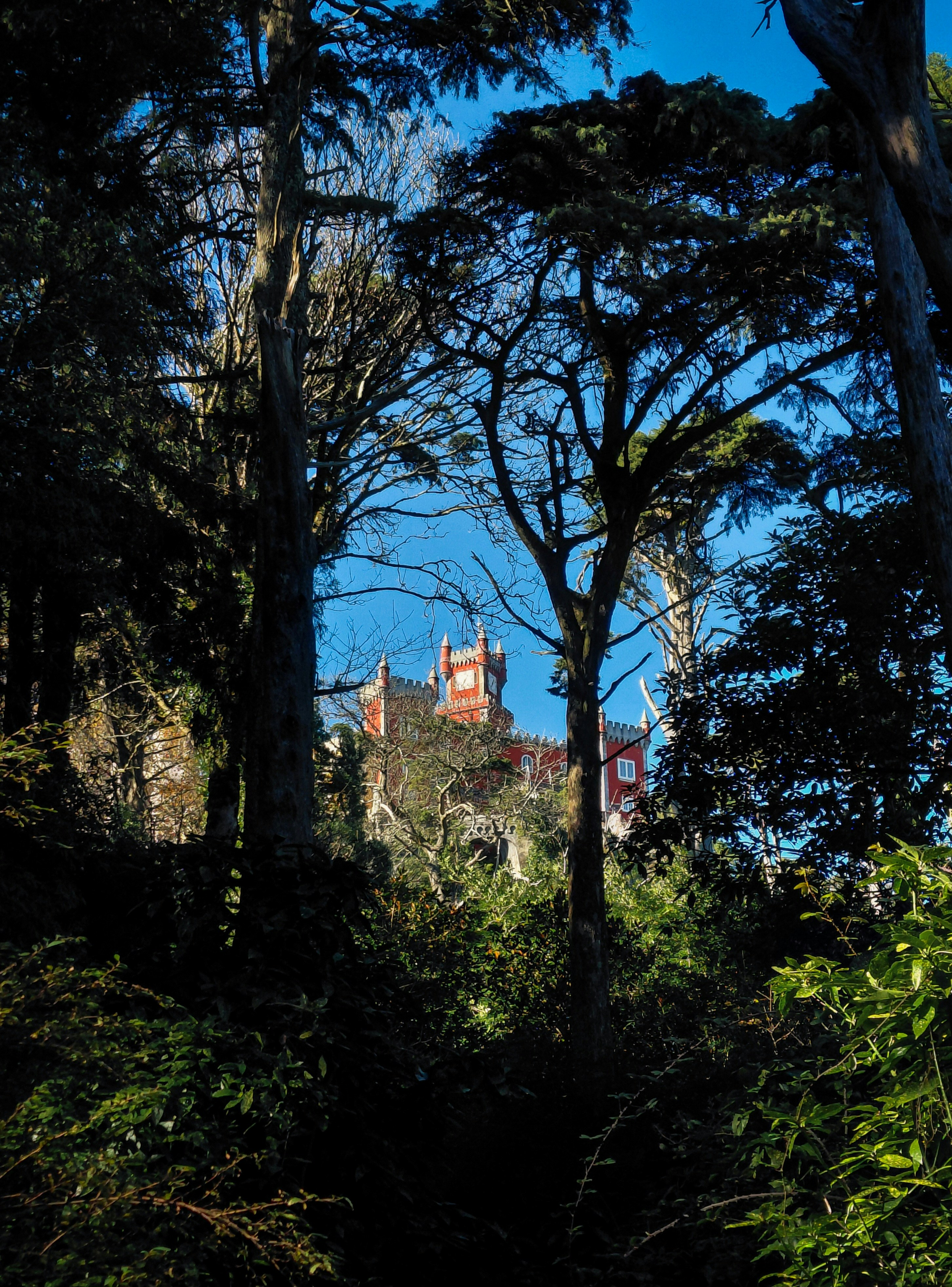 Sofia Vila Flor (@sofiavilaflor) | Komunitas Foto Unsplash