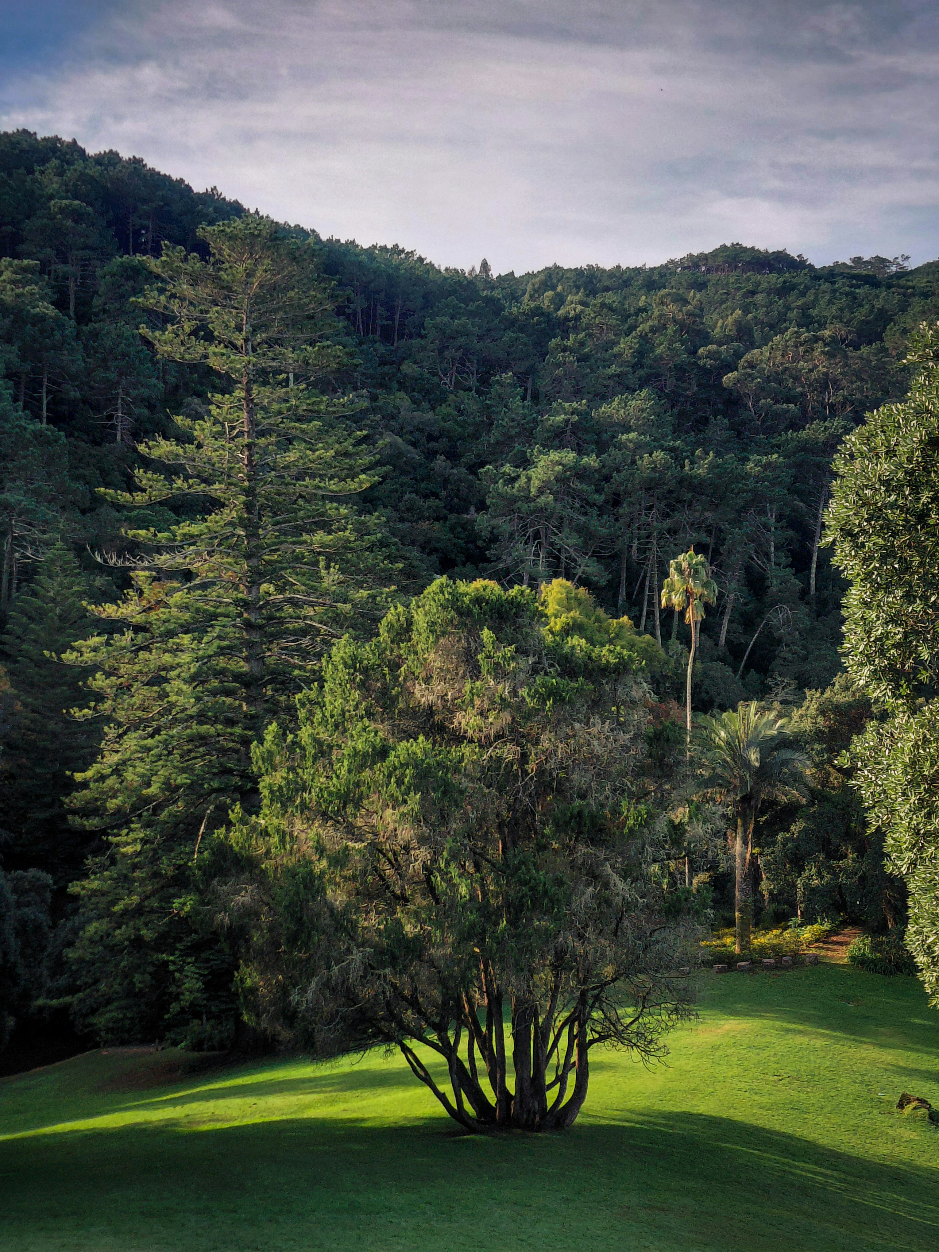 Sofia Vila Flor (@sofiavilaflor) | Komunitas Foto Unsplash