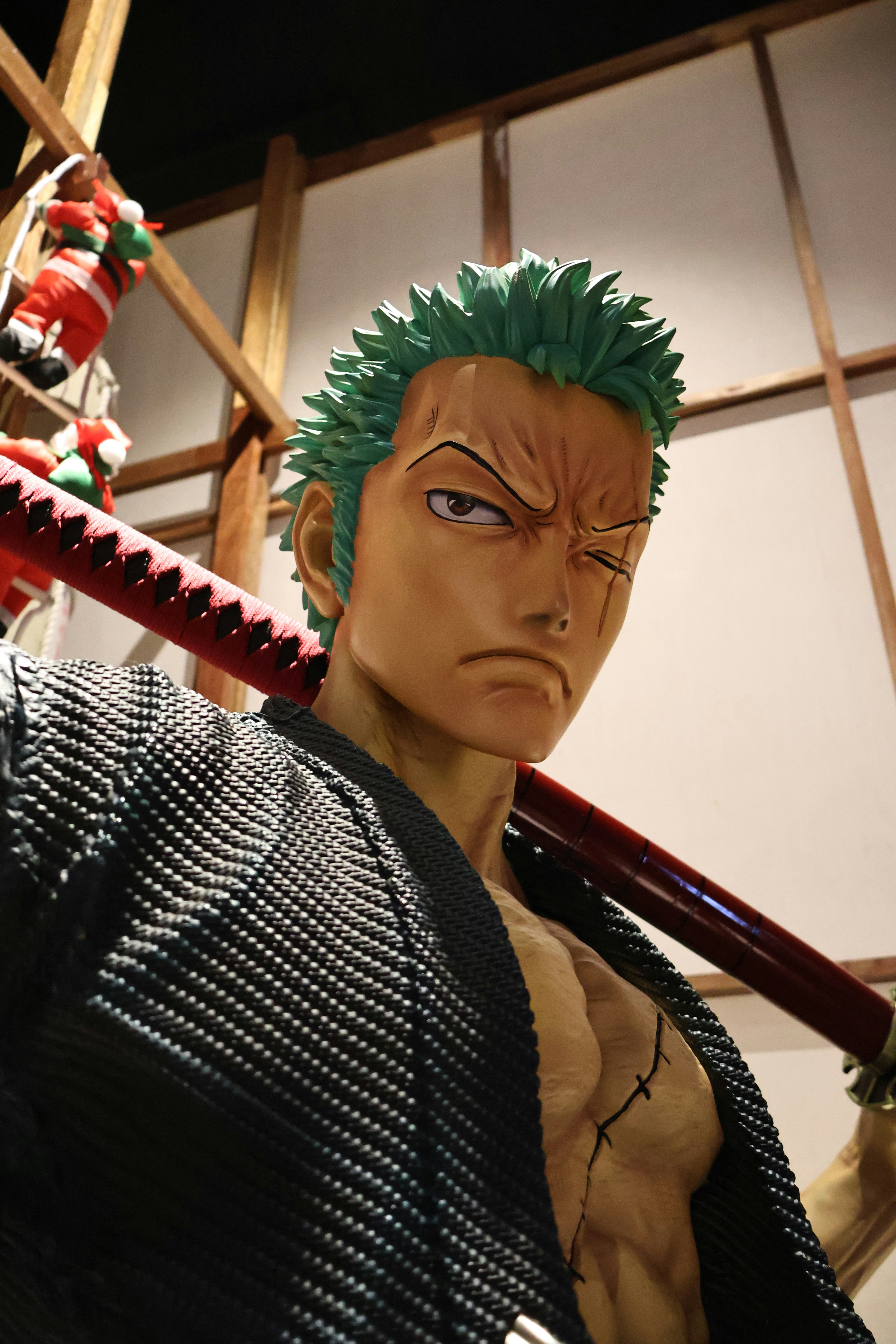 Green-Haired Sentinel: A Close-Up of a Stoic Straw-Hat Warrior