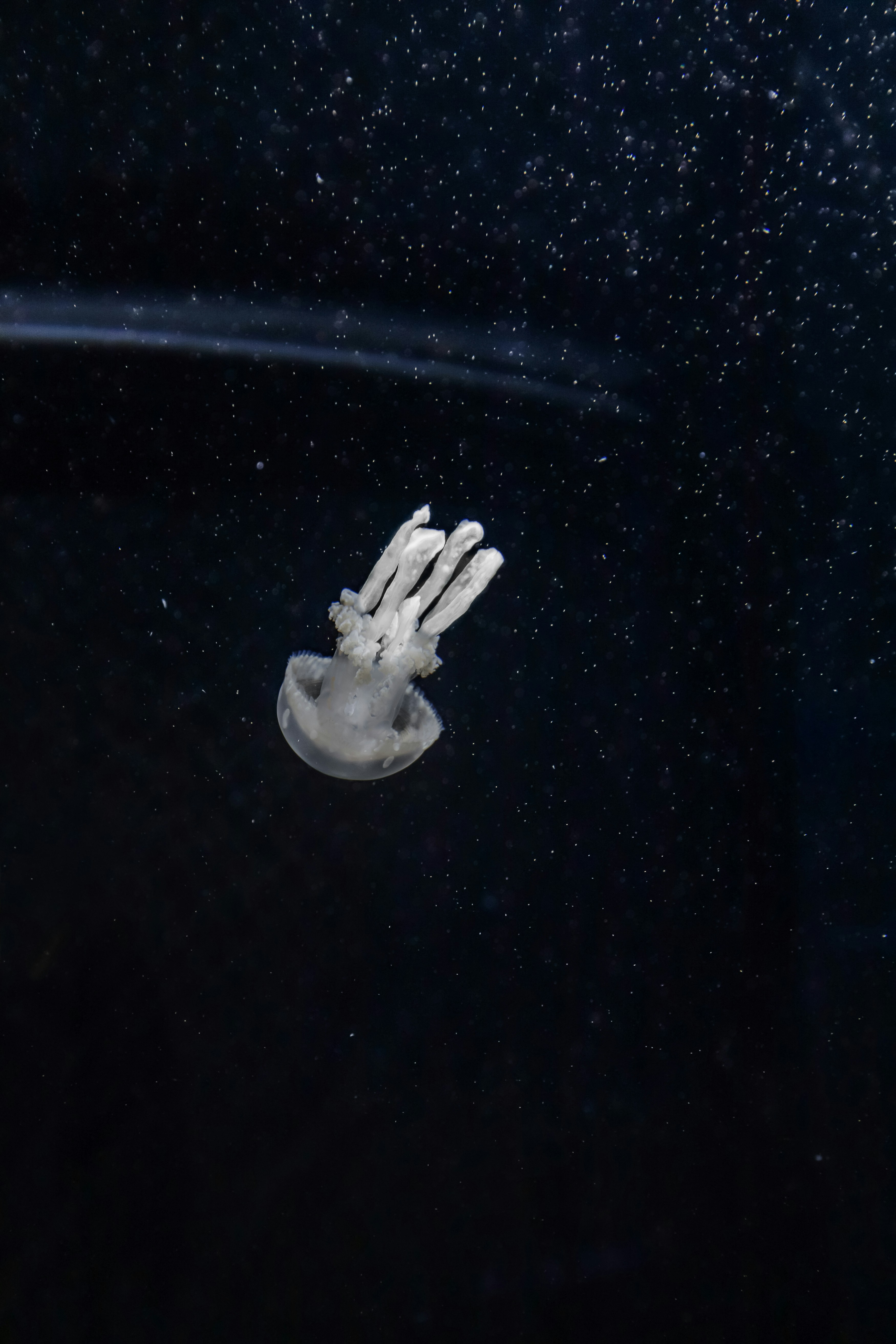 Photo by Milin John with Canon EOS 6D Mark II