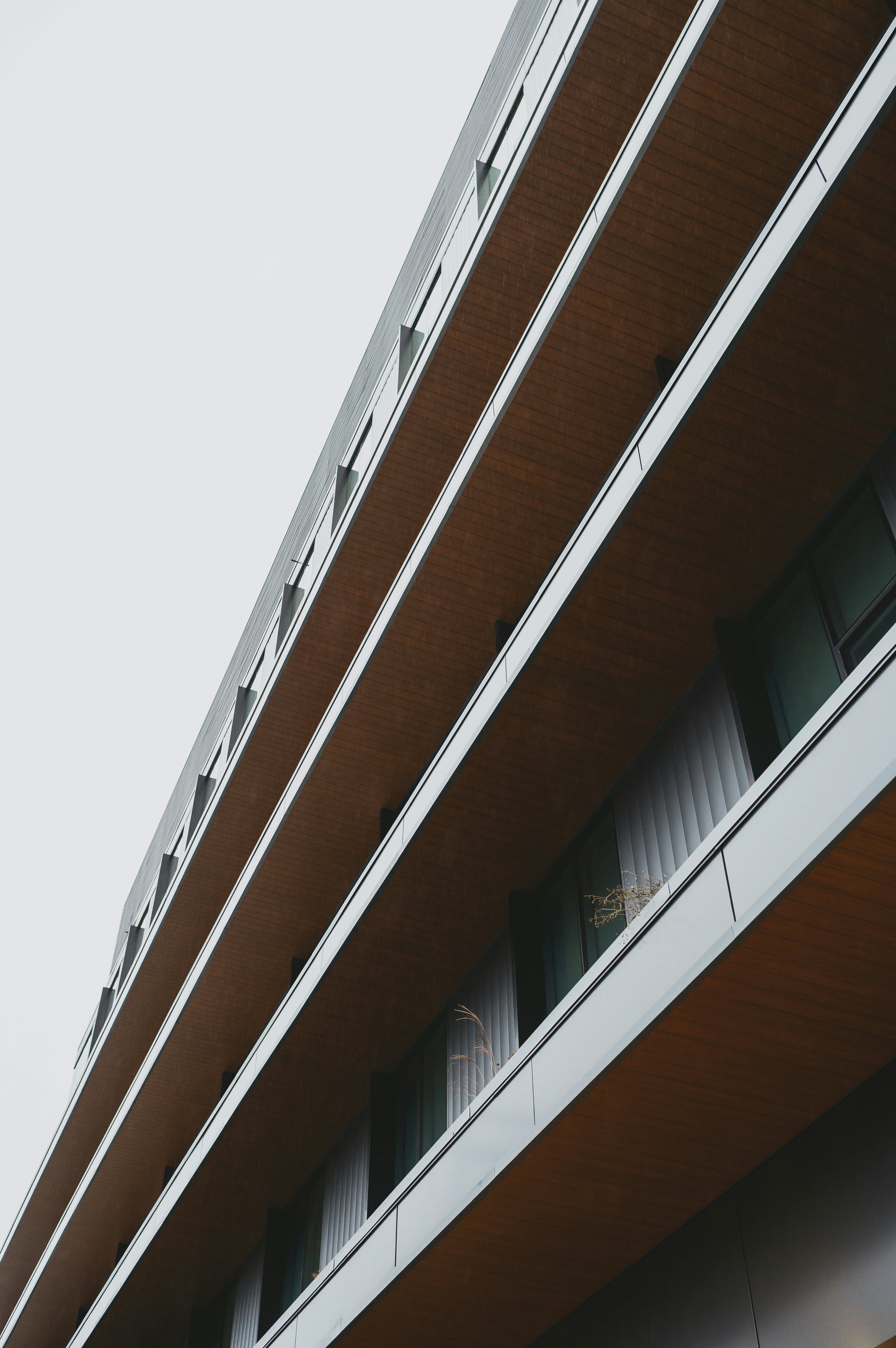 Photo by Albert Stoynov with Nikon Z6 II