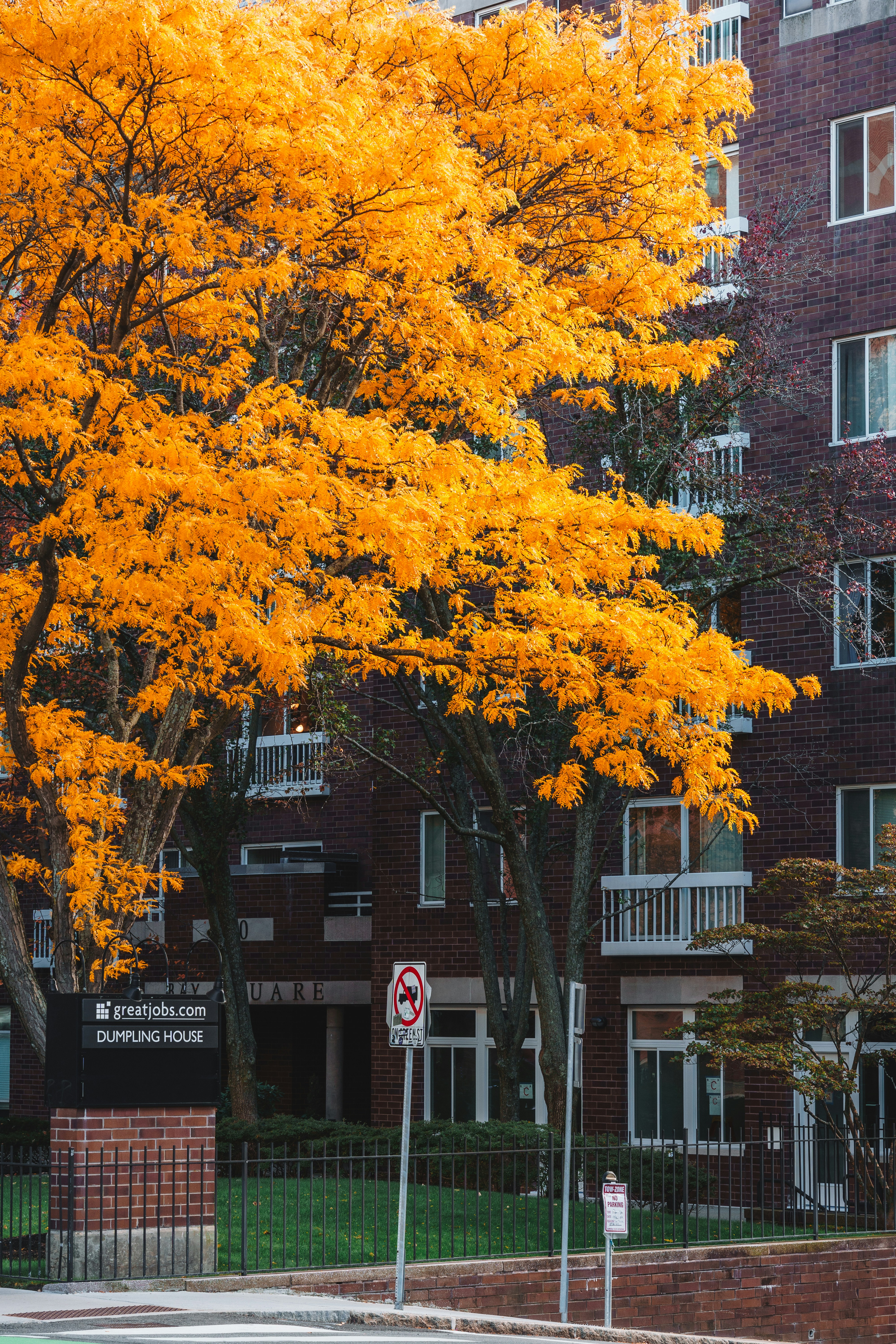 Autumn Velvet Overlook Along a Brick Courtyard