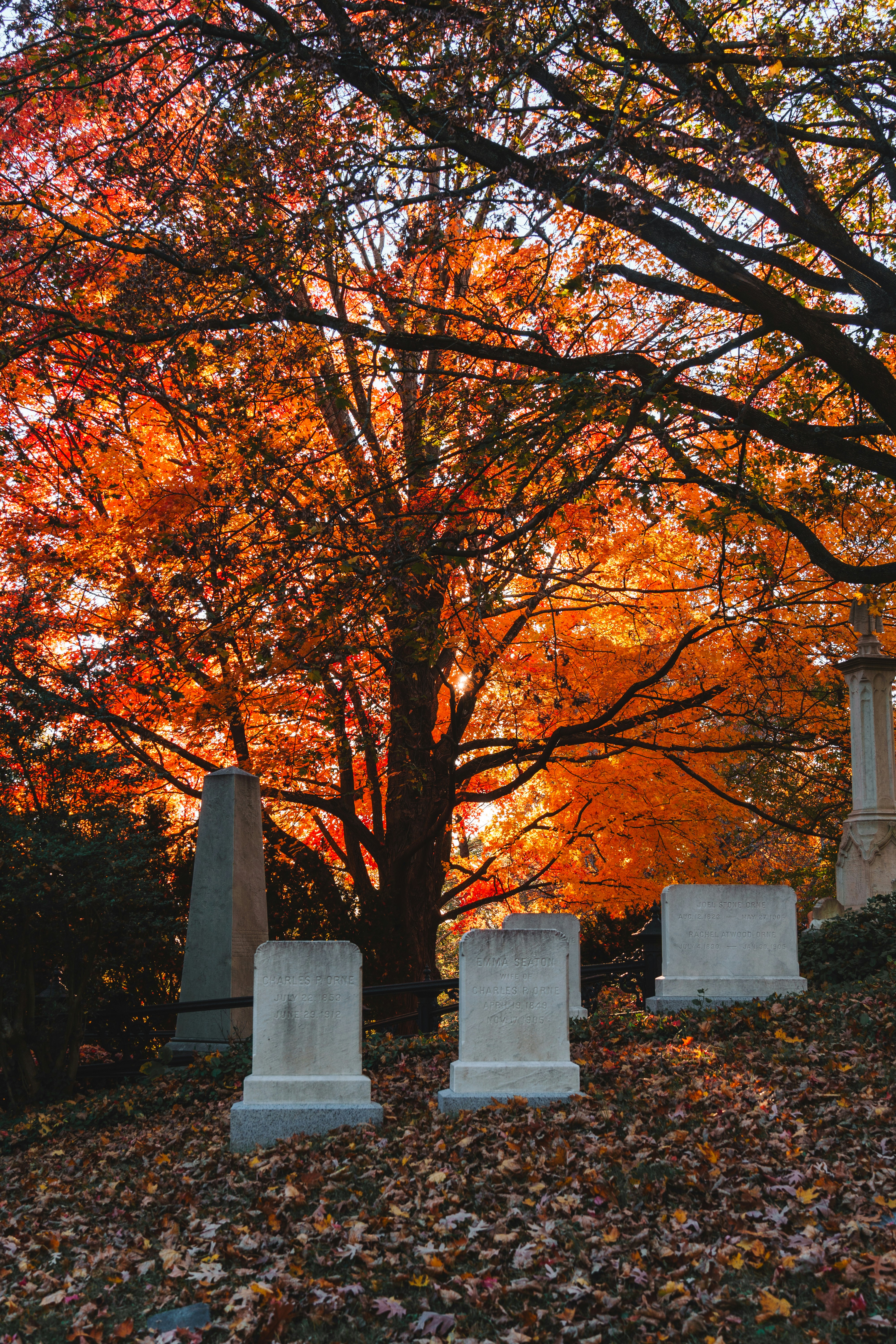 Mount Auburn Cemetery Fall